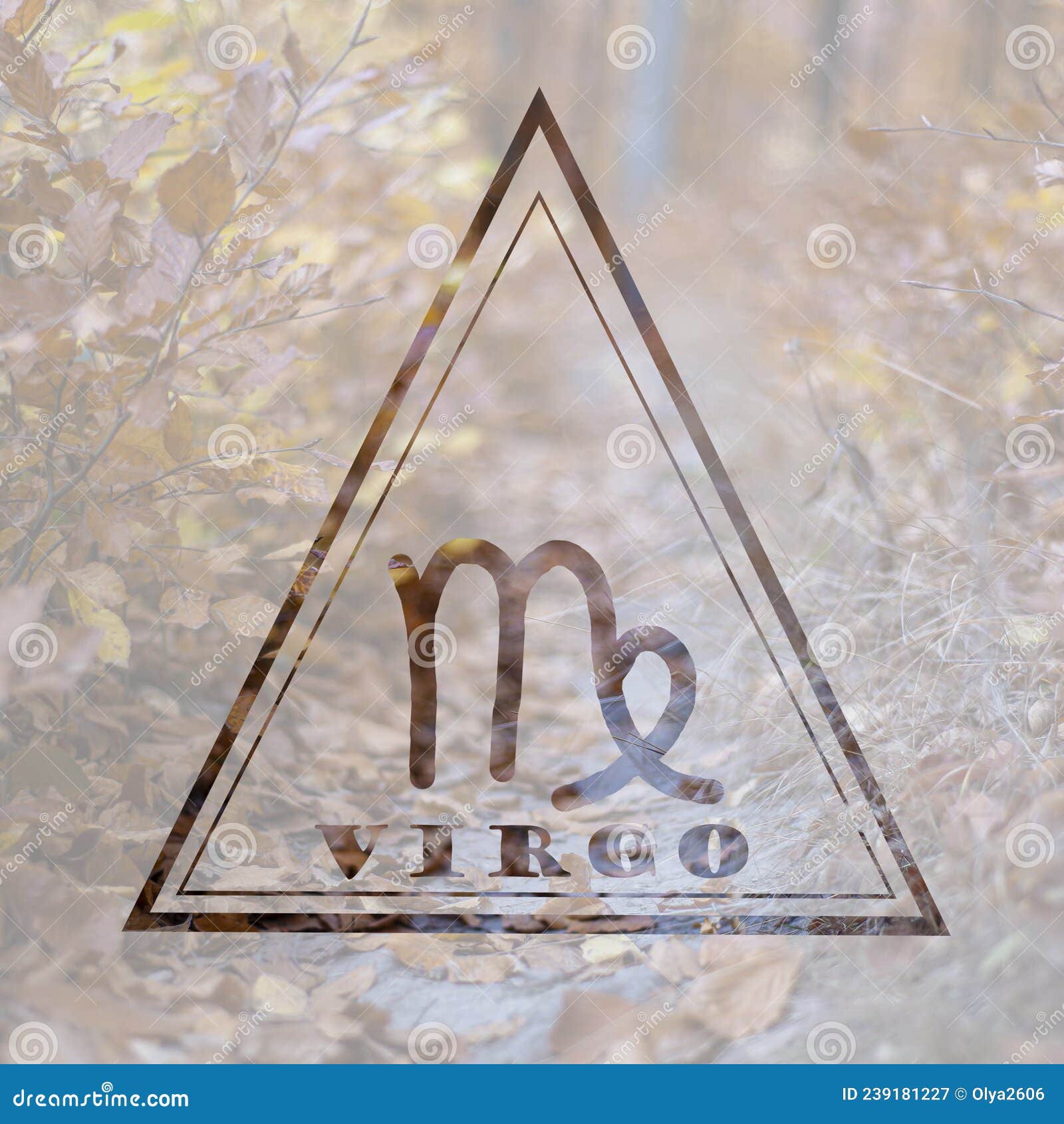 Zodiac Sign Virgo in a Triangle, the Element of Earth in the Horoscope ...