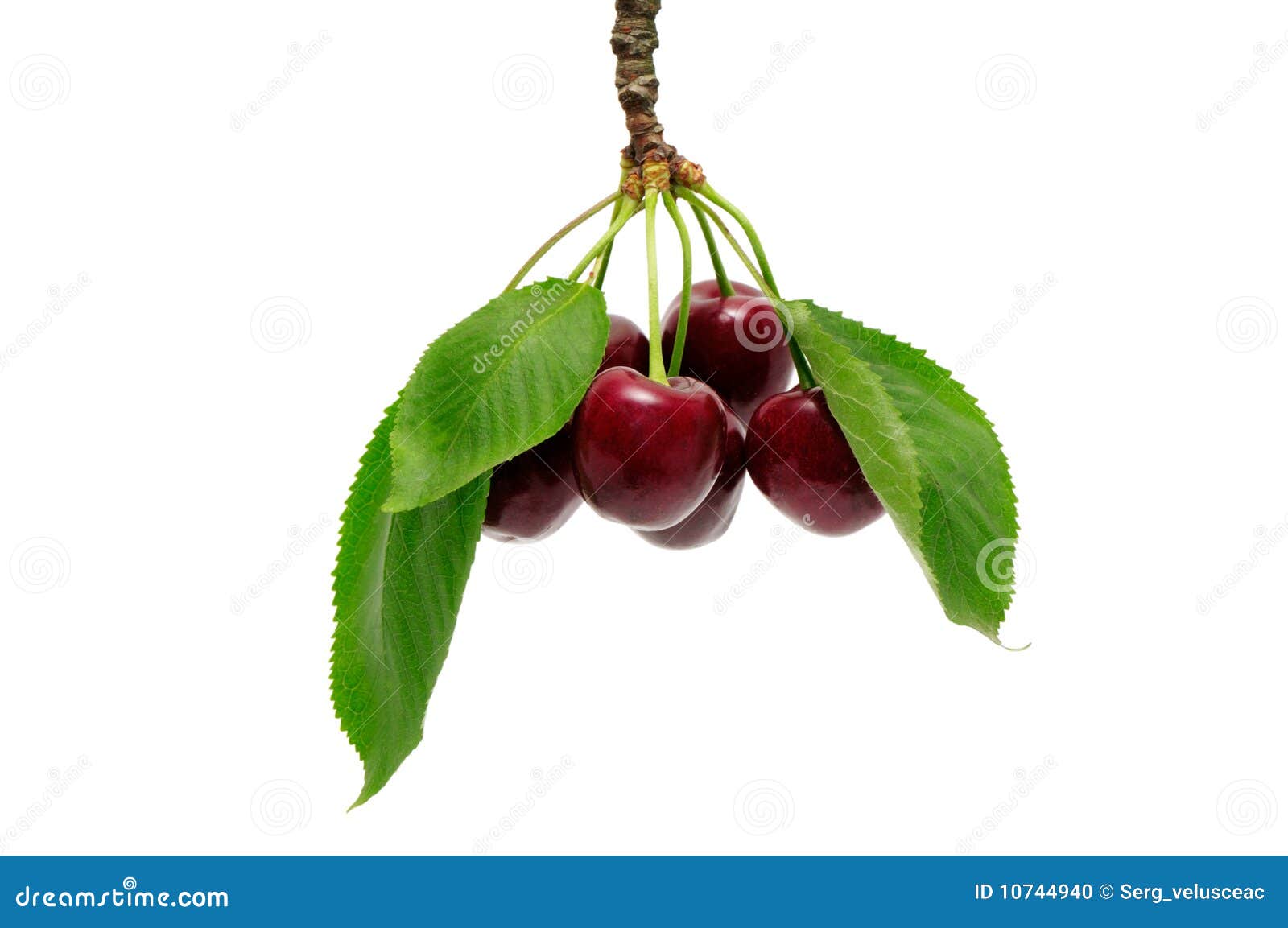 Zoete kers stock foto. Image of kruidenierswinkels, markt - 10744940