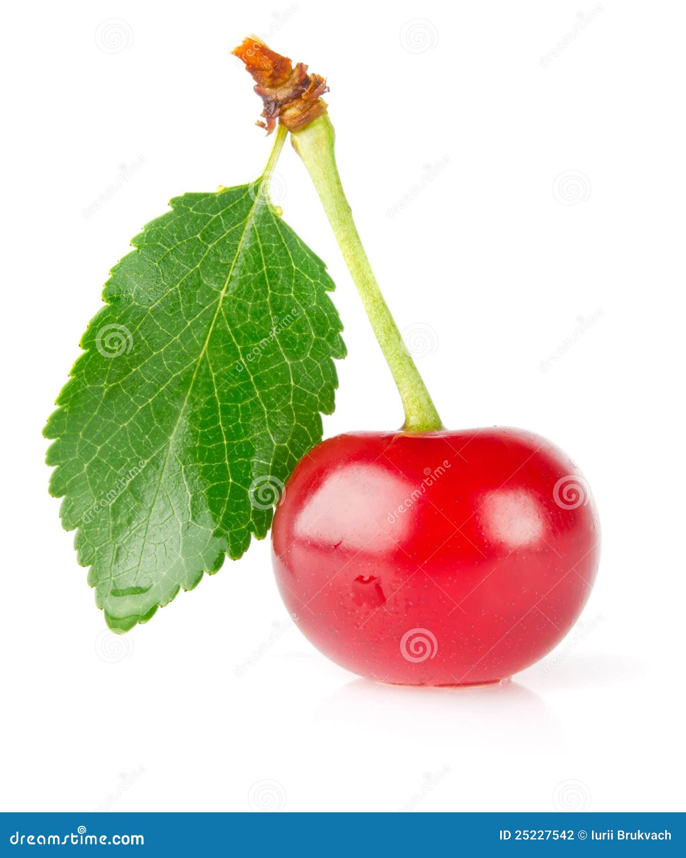 Zoete Sappige Kers Met Groen Blad Stock Foto - Image of dieet, groen ...