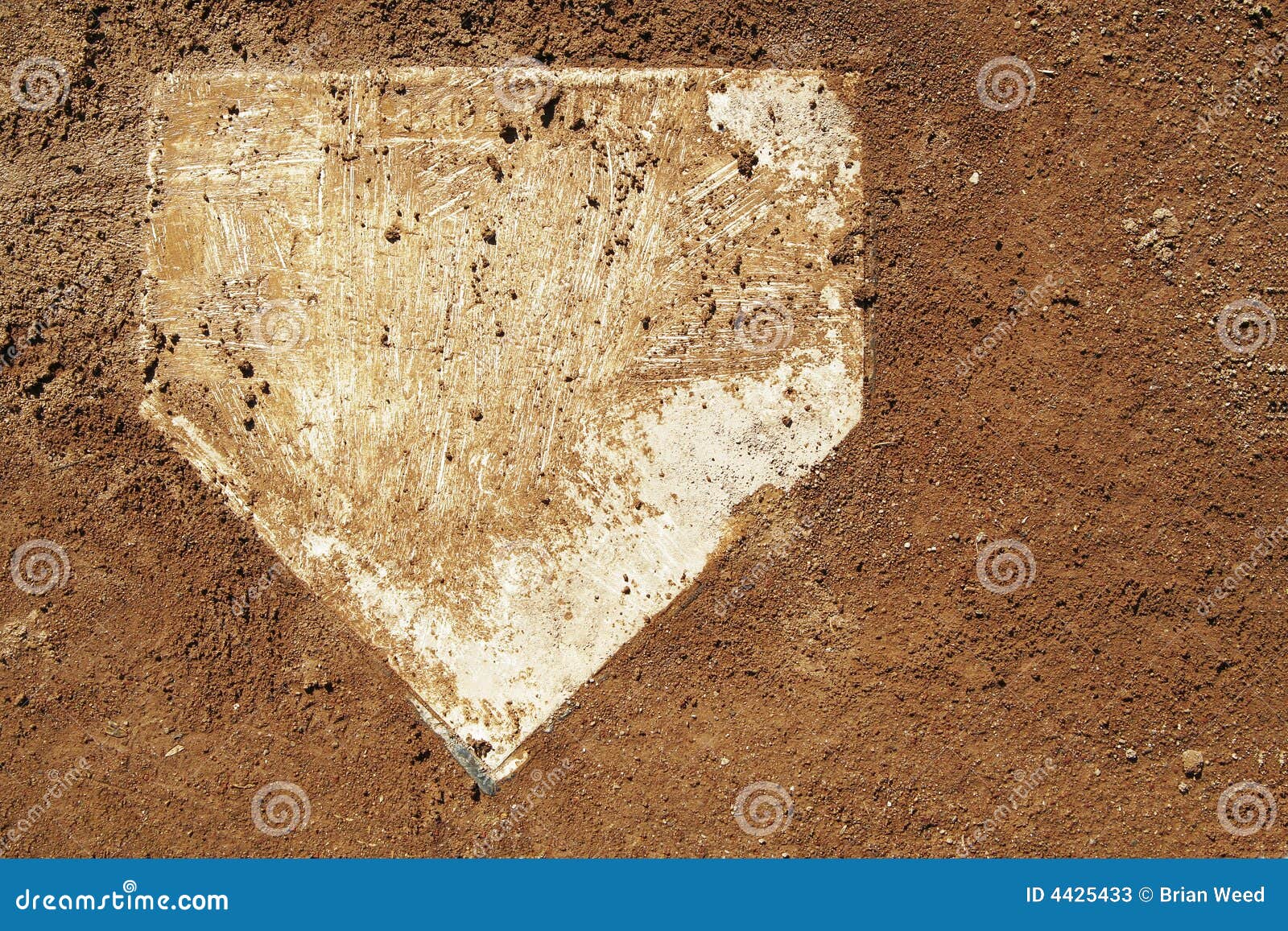 Zolla domestica immagine stock. Immagine di terra, concorrenza - 4425433