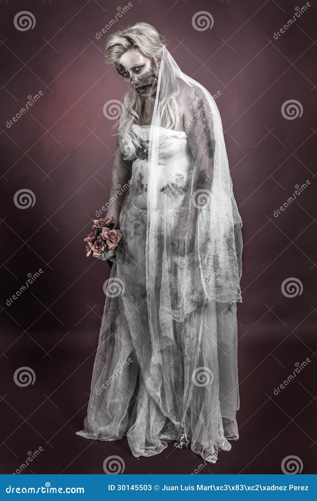 Zombie bride stock image. Image of devil, monster, fear - 30145503