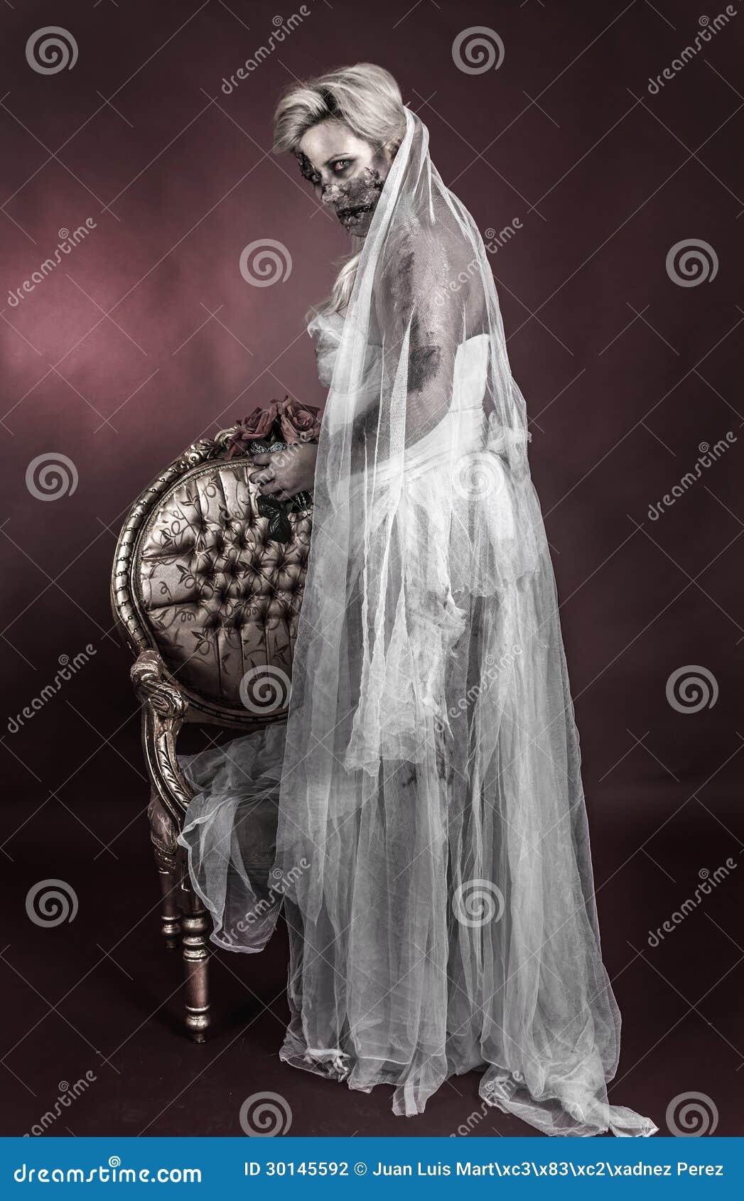 Zombie bride stock photo. Image of horror, holiday, female - 30145592