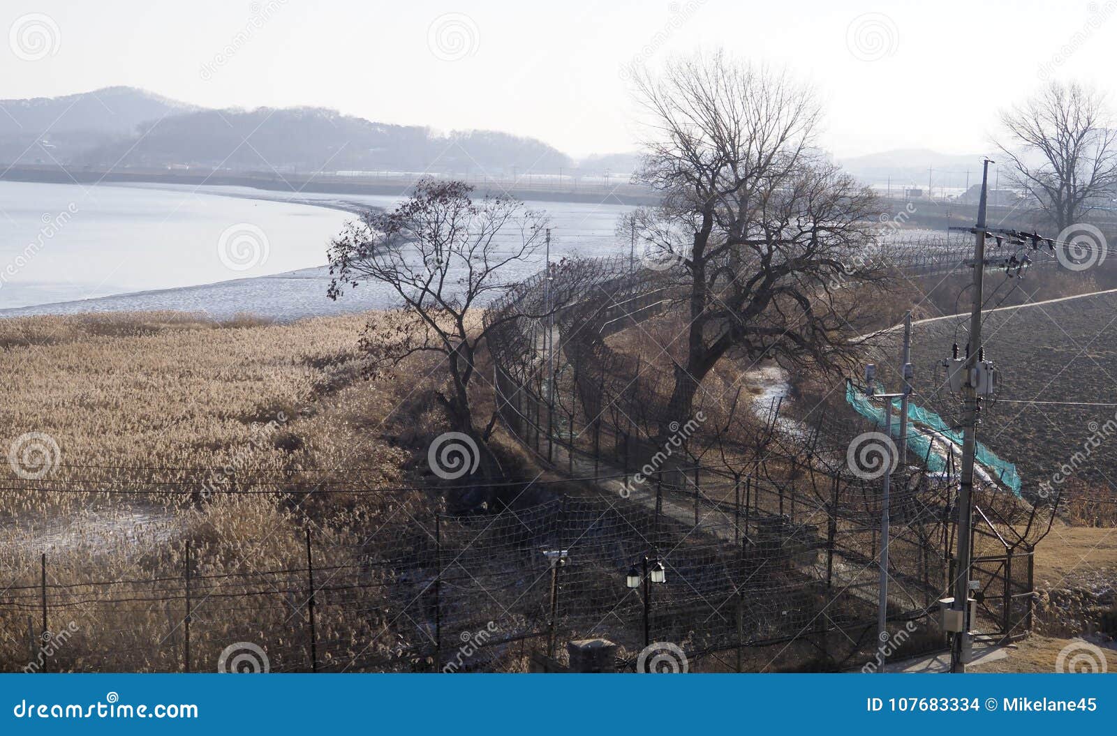 Zona Desmilitarizada Del DMZ Foto de archivo - Imagen de planta, cielo ...