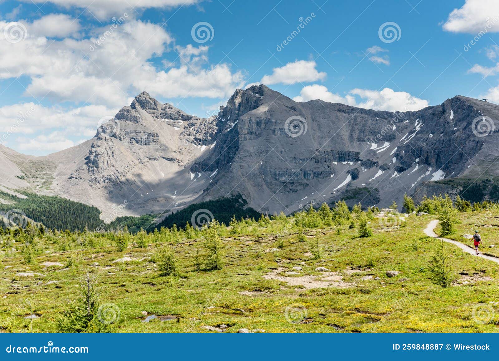 Zona Montanhosa Em Alberta Canada Imagem de Stock - Imagem de escala ...