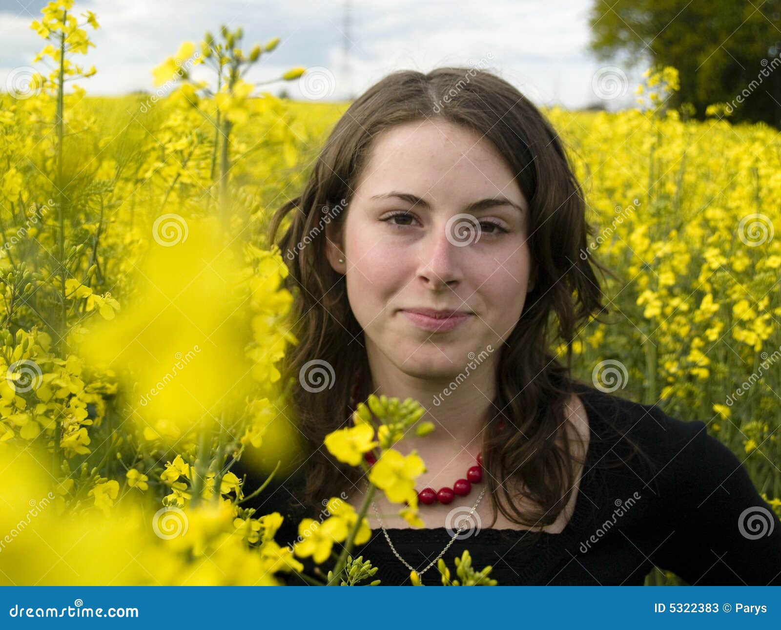 Zone Jaune De Viol Et Jeune Fille Image stock - Image du fleurs ...