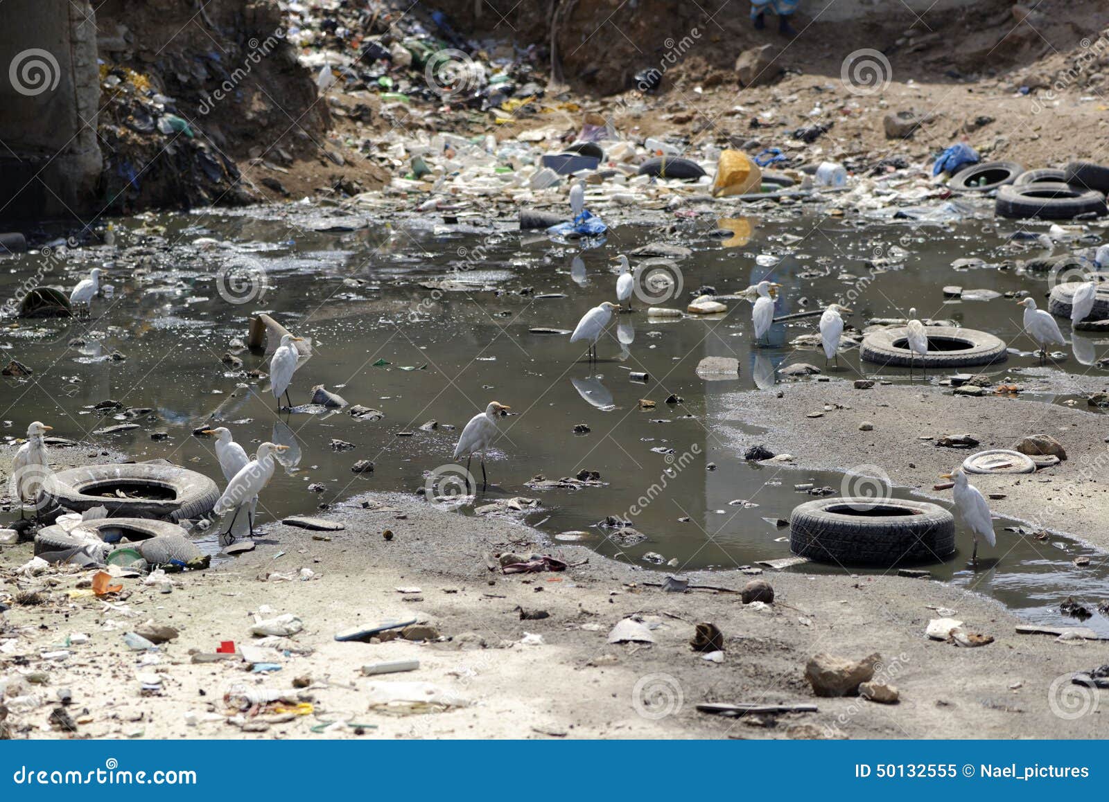 Zone polluée image stock. Image du pollué, pris, écologie - 50132555