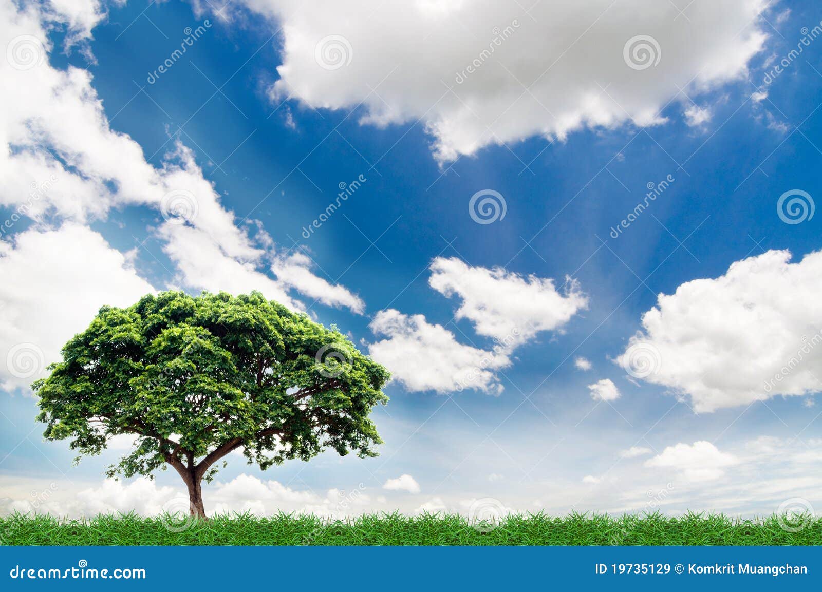 Zone verte image stock. Image du clair, environnement - 19735129