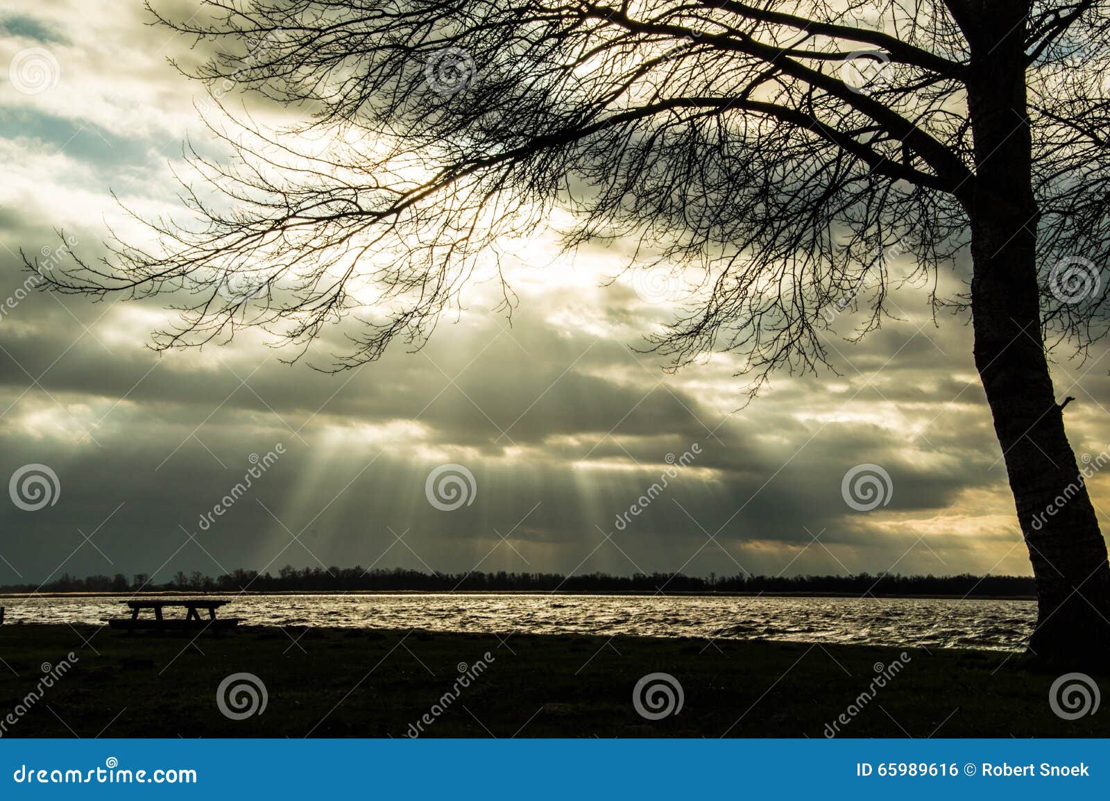 Zonnestraal stock foto. Image of bloem, nave, wolk, installatie - 65989616