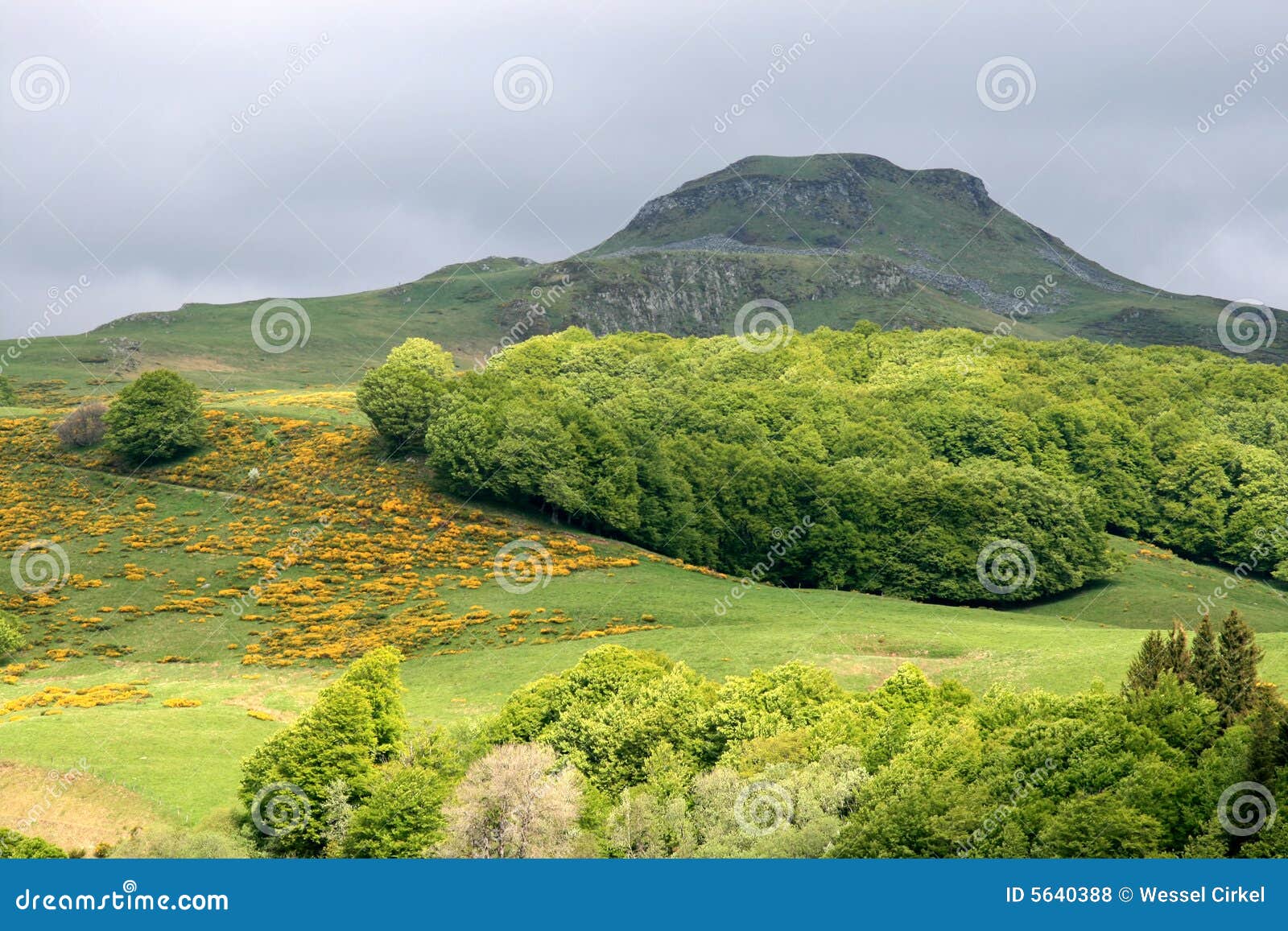 Zonnig Frans Landschap (Puy DE Sancy) Stock Foto - Image of bloemen ...