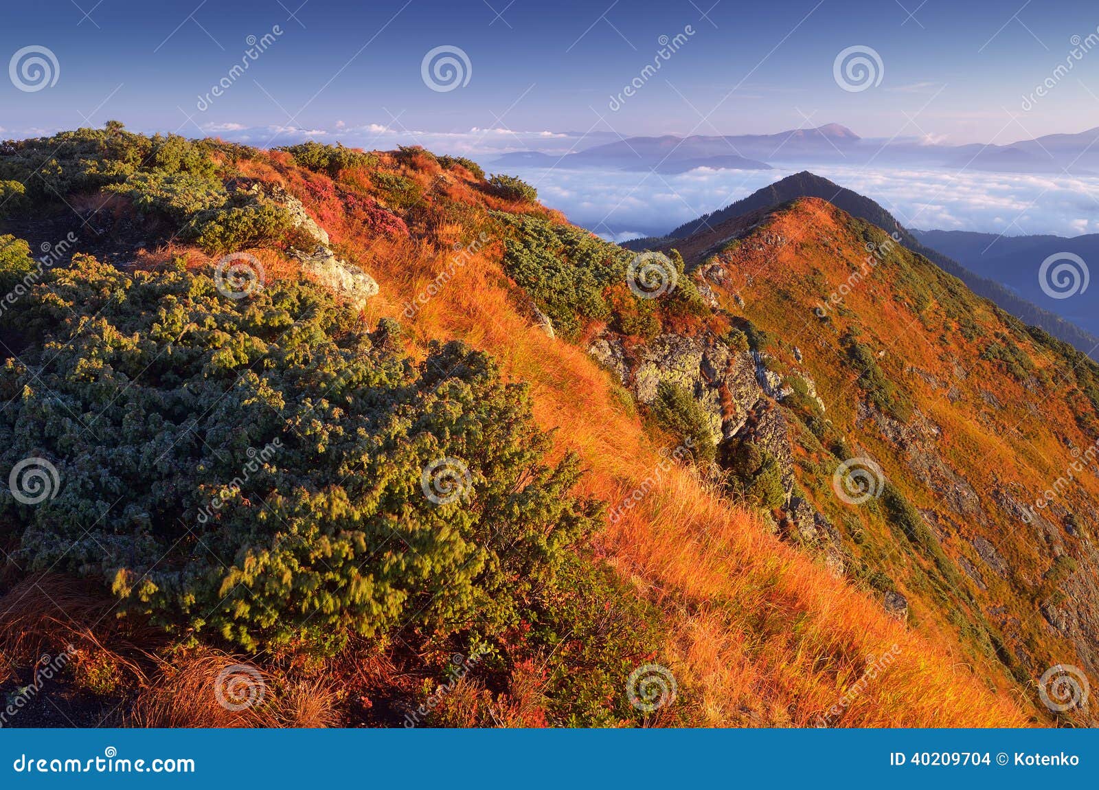 Zonnige Ochtend in De Bergen Stock Foto - Image of kleur, heuvel: 40209704