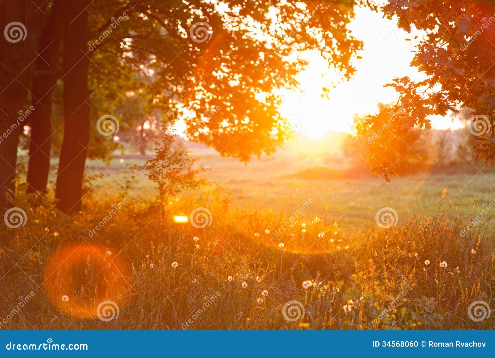 Zonsondergang. Bosopen Plek. Stock Foto - Image of straal, stralen ...