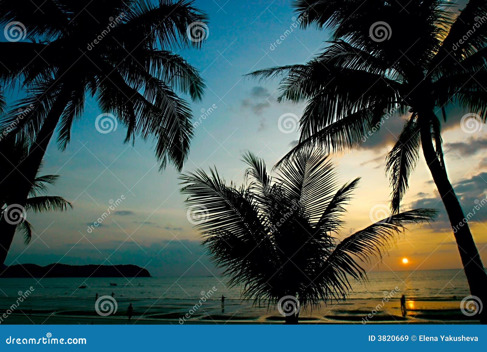 Zonsondergang in Keerkringen Stock Afbeelding - Image of toevlucht ...