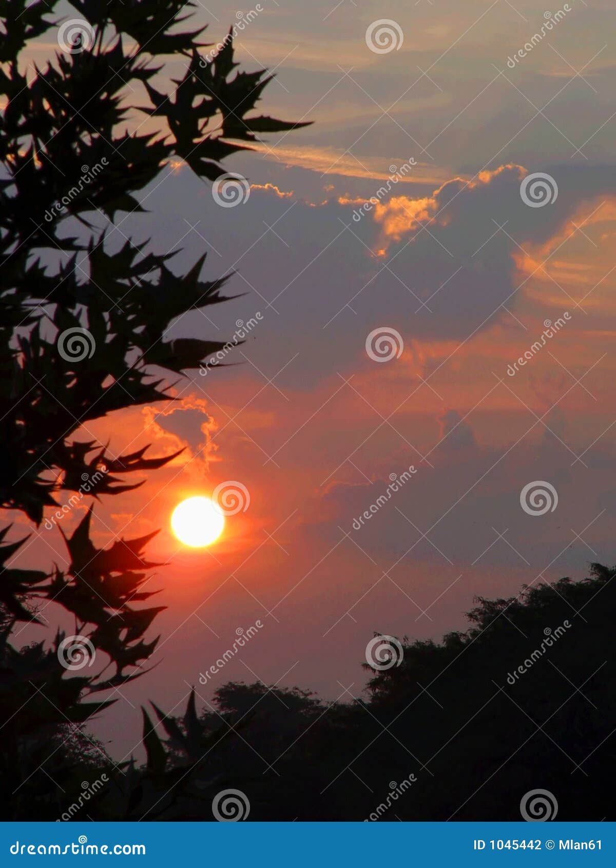 Zonsopgang Picture. Image: 1045442