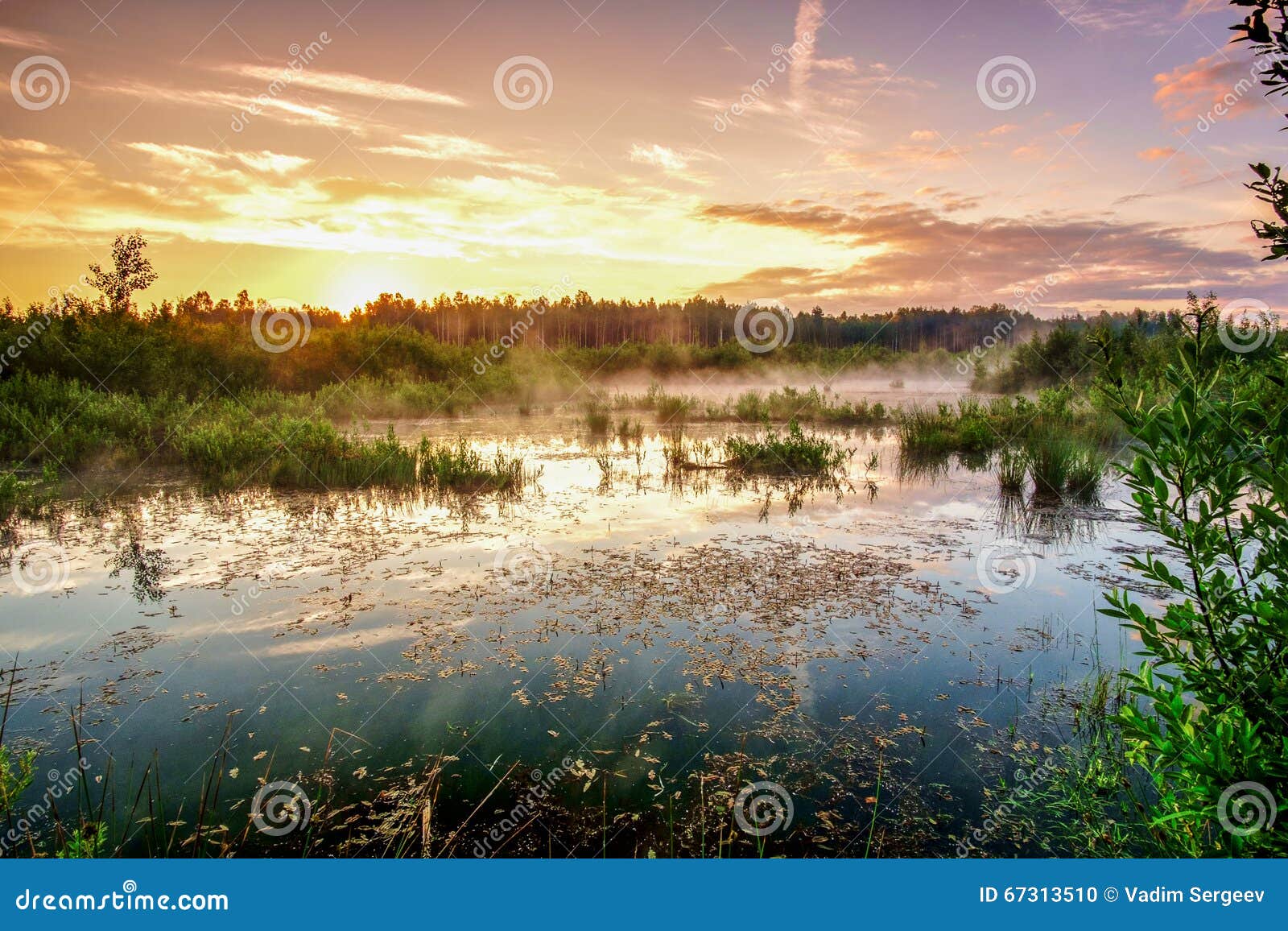 Zonsopgang op het moeras stock foto. Image of zonsopgang - 67313510