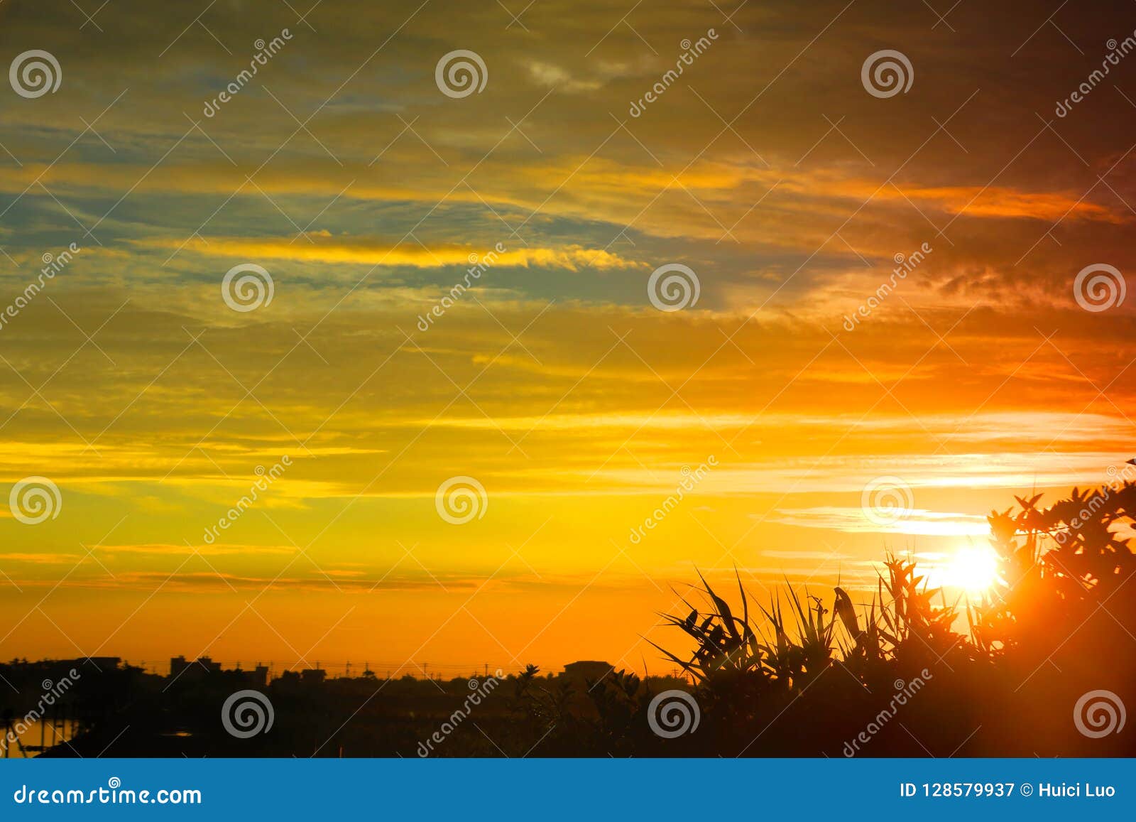 Zonsopgang tussen de bomen stock afbeelding. Image of platteland ...