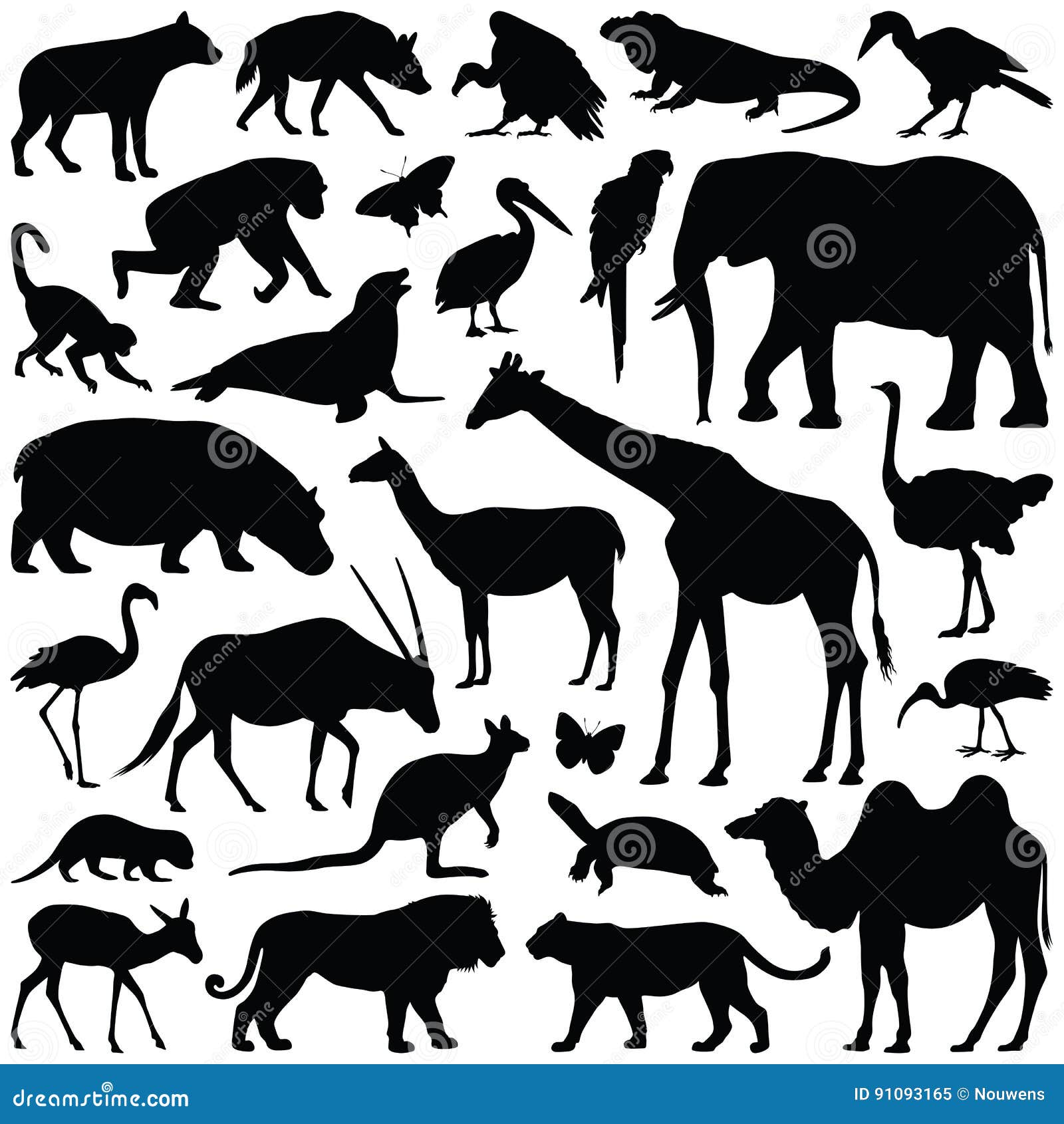 Zoo Animal Vector Illustration Stock Vector - Illustration of african ...
