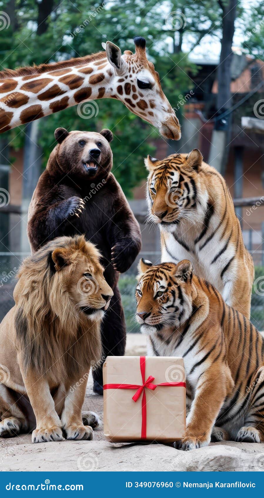 Zoo Animals Gathered Around Opened Gift Box Stock Illustration ...