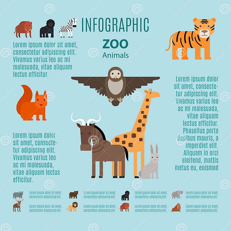 Zoo Animals Vector Infographic Stock Vector - Illustration of childhood ...