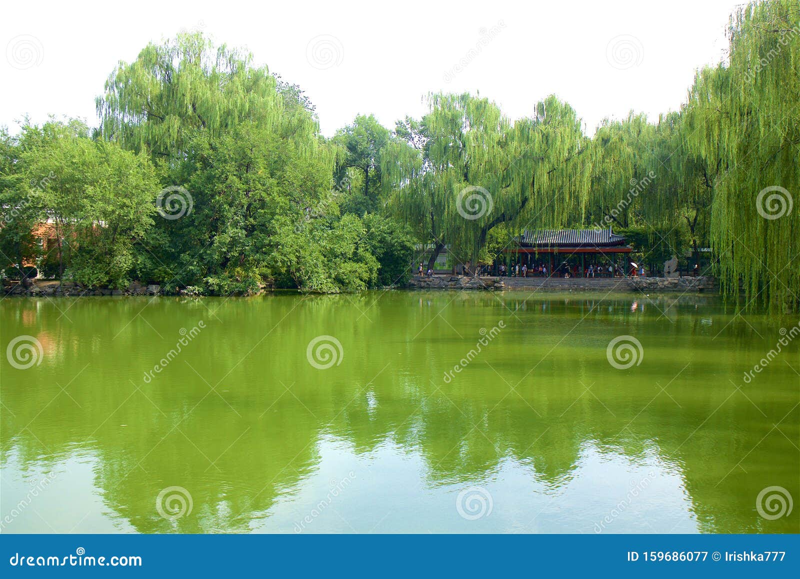 Zoo in Beijing, China stock image. Image of pond, greenery - 159686077