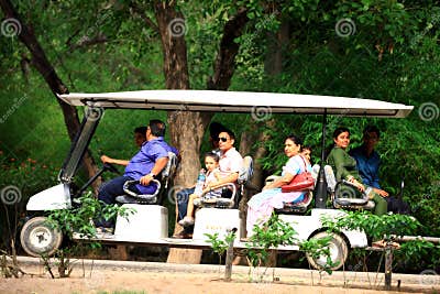 Zoo car editorial stock photo. Image of safari, greenery - 19957378