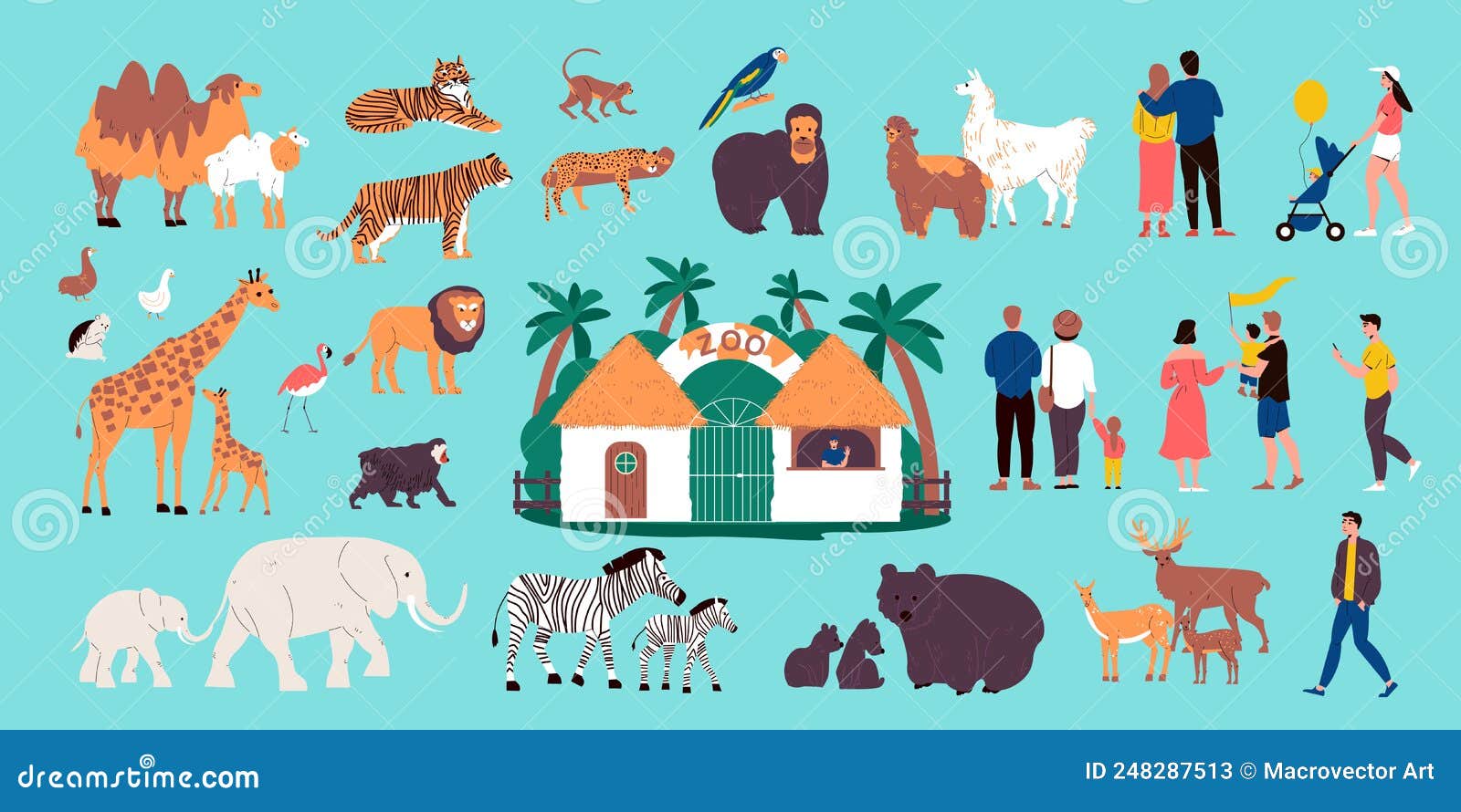 Zoo Color Set stock vector. Illustration of decorative - 248287513