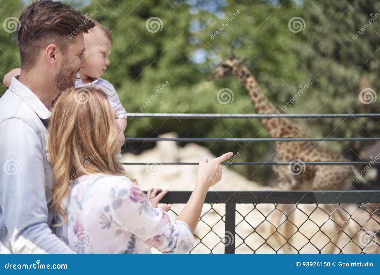 Zoo stock photo. Image of loving, checking, looking, playful - 93926150