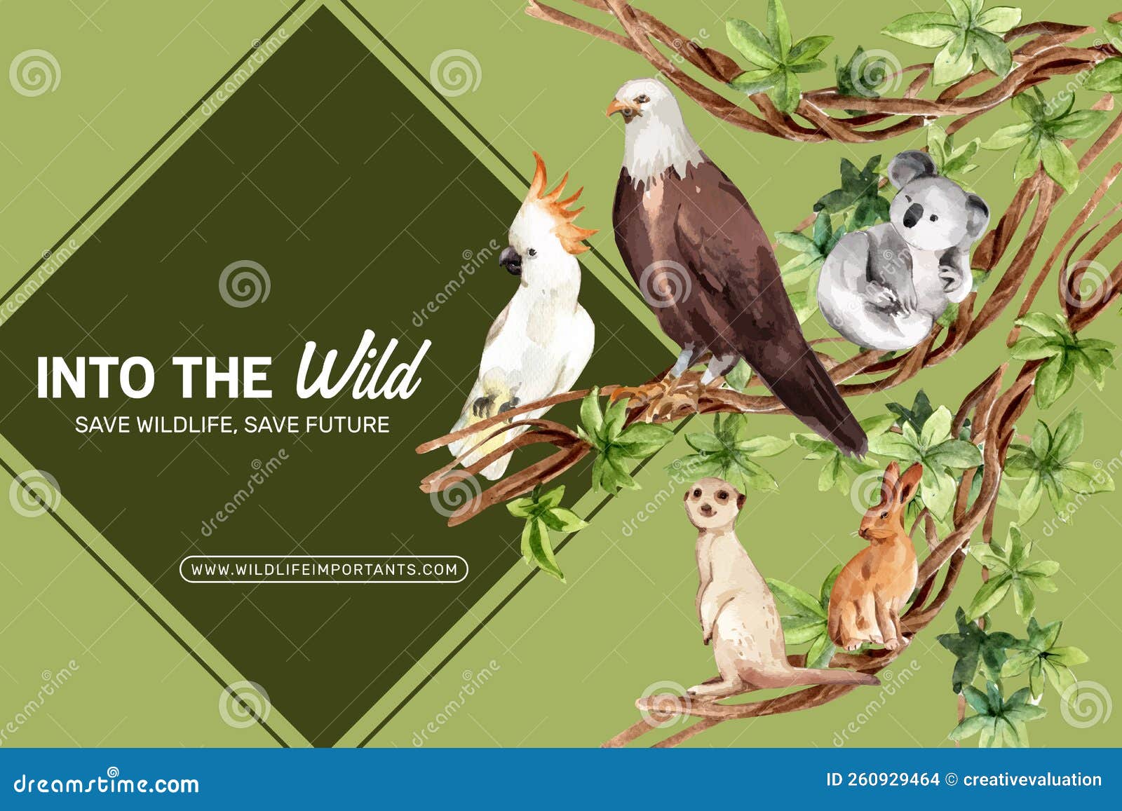 Zoo Frame Design with Eagle, Rabbit, Meerkat Watercolor Illustration ...
