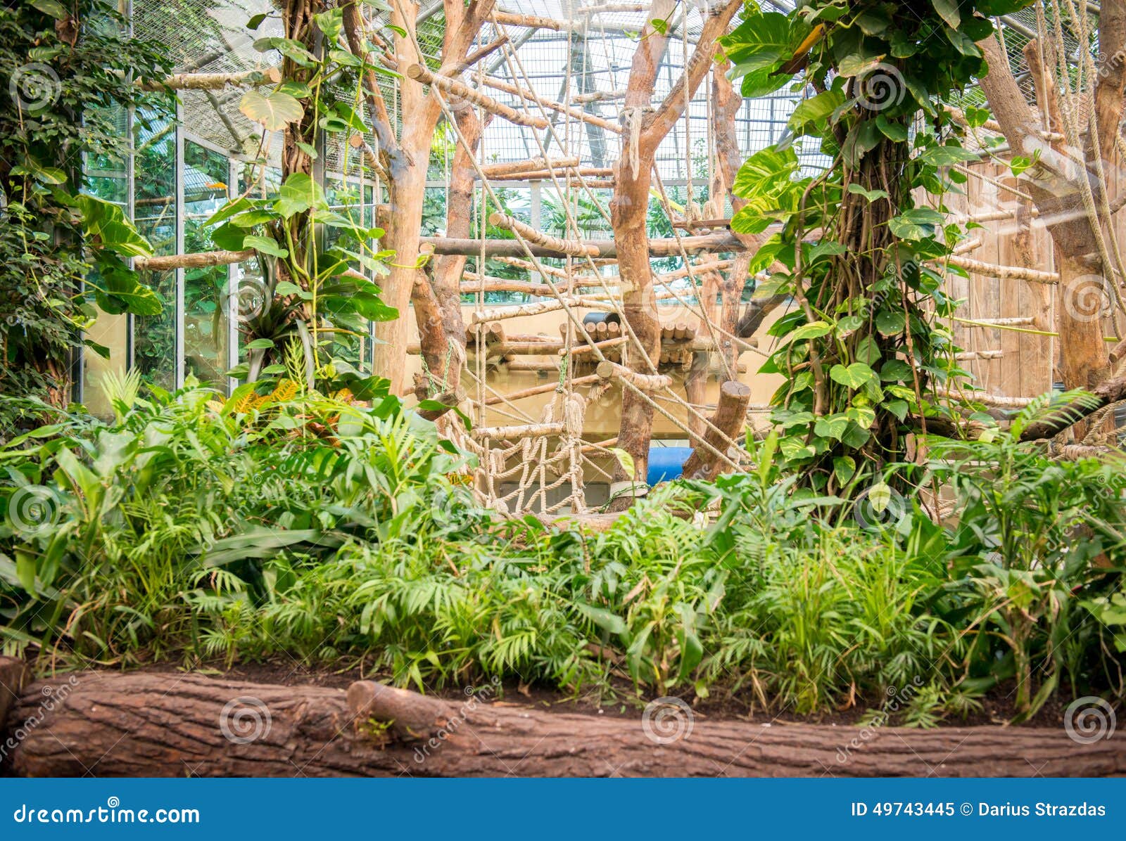 Zoo jungle stock image. Image of tree, background, grass - 49743445