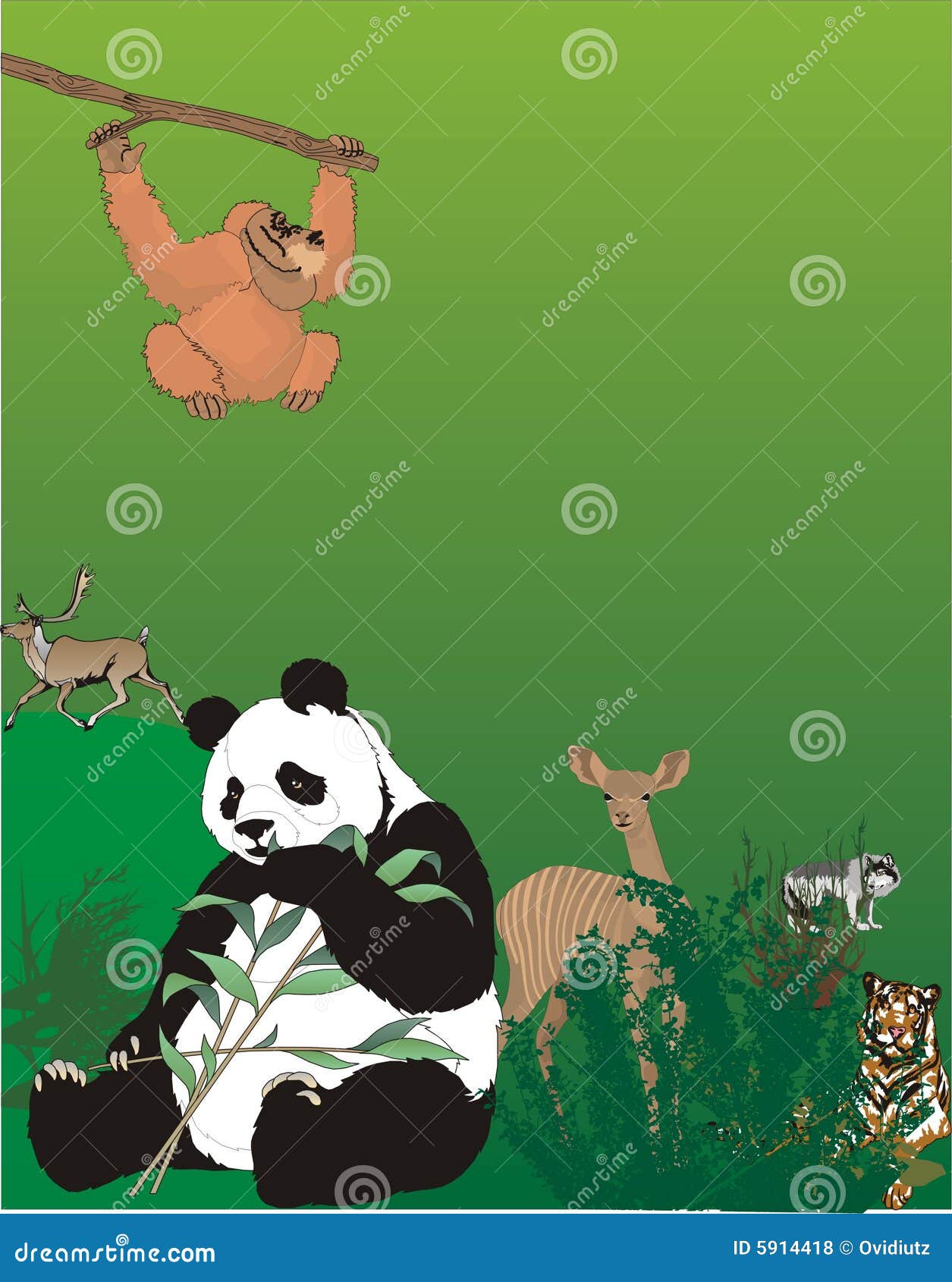 Zoo layout design stock vector. Illustration of tiger - 5914418