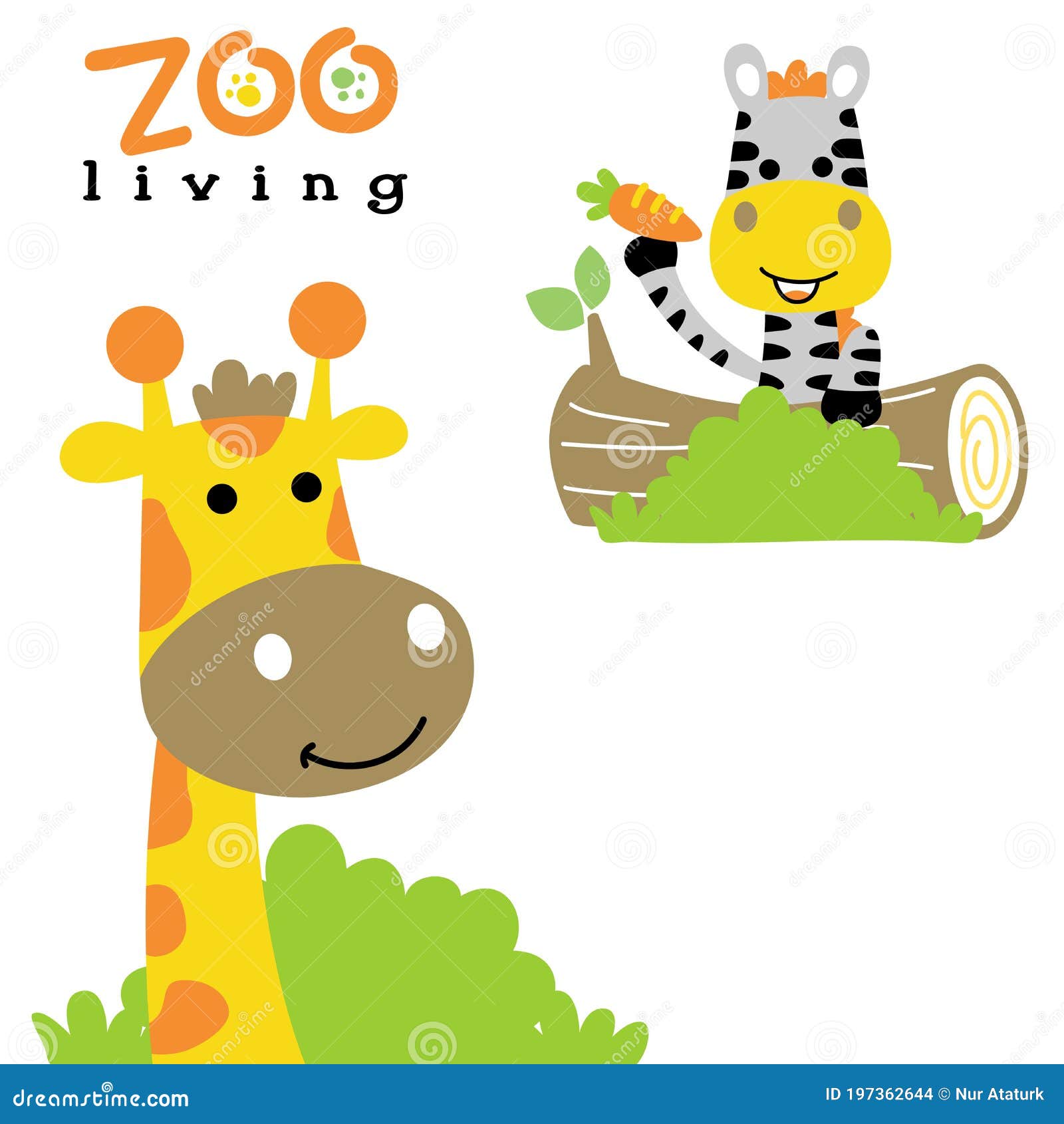 Zebra Footprint. Zebra Track. Ungulate Animal Footprints. Mammal Animal ...