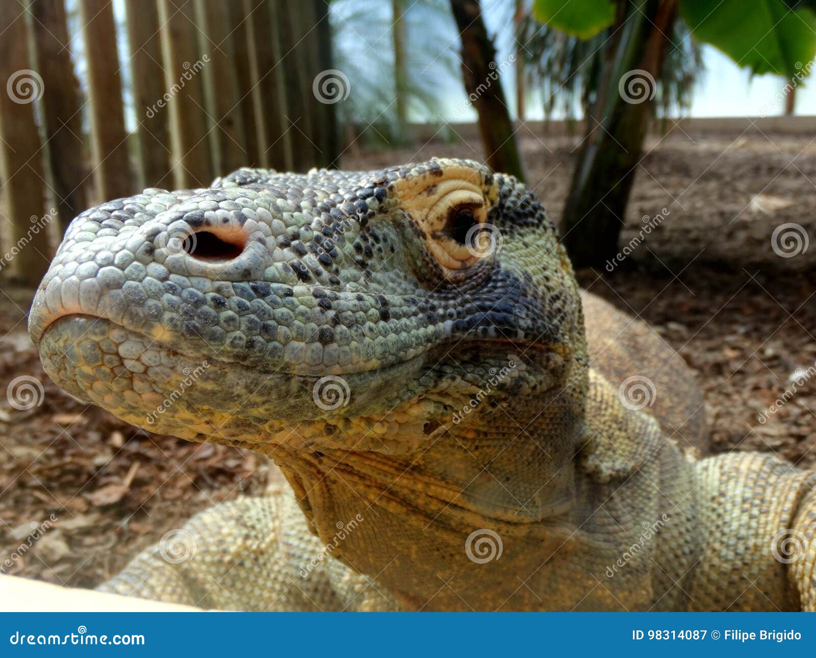 Zoo Servion and Tropiquarium of Servion - 2017 Stock Image - Image of ...