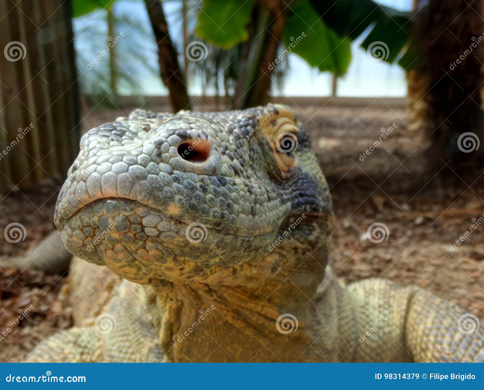 Zoo Servion and Tropiquarium of Servion - 2017 Stock Image - Image of ...