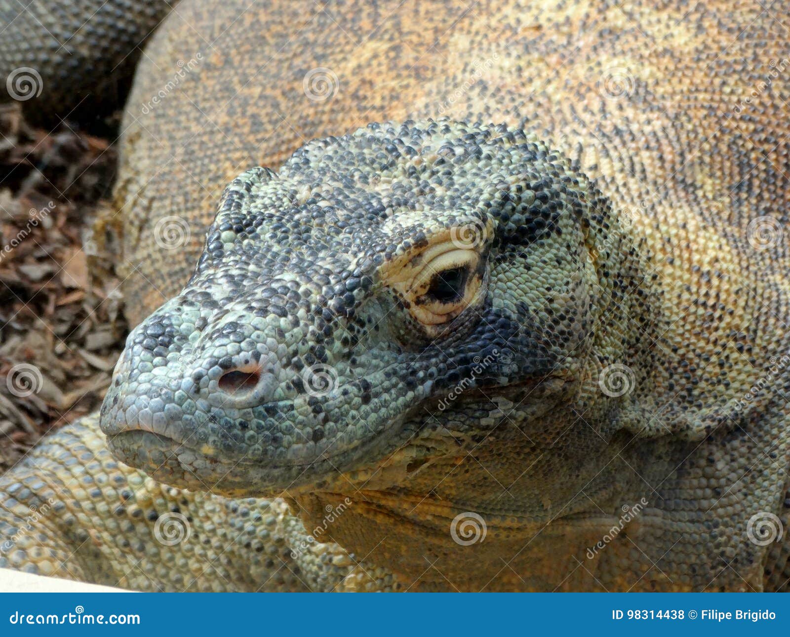 Zoo Servion and Tropiquarium of Servion - 2017 Editorial Stock Photo ...