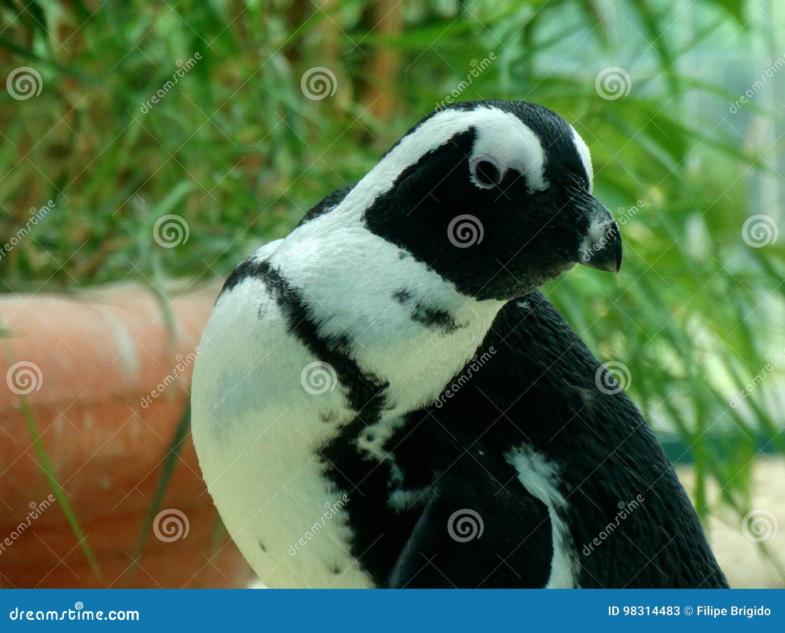 Zoo Servion and Tropiquarium of Servion - 2017 Stock Image - Image of ...