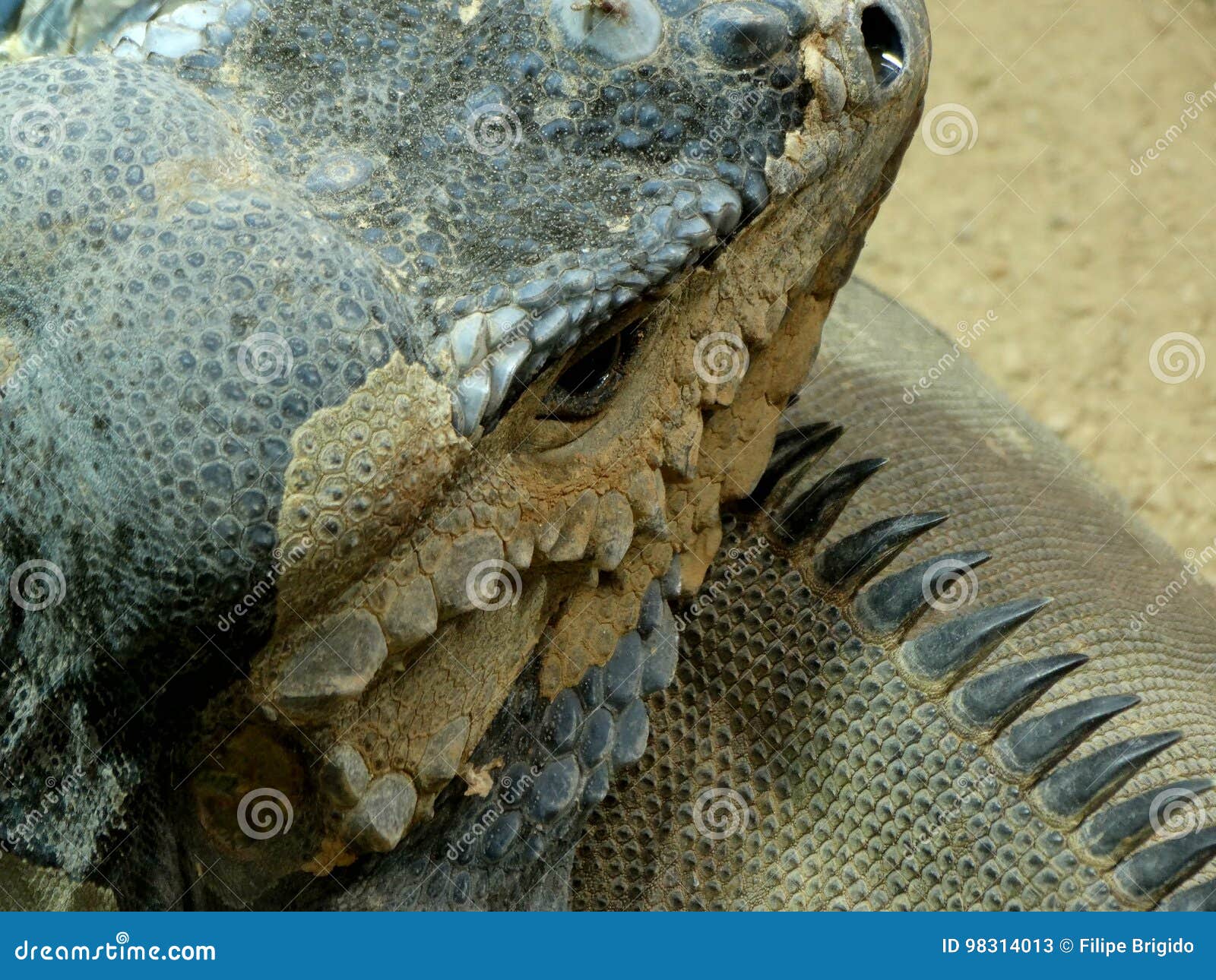 Zoo Servion and Tropiquarium of Servion - 2017 Stock Image - Image of ...