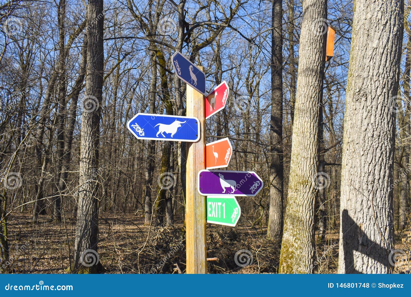 ZOO Signs Indicator Editorial Image | CartoonDealer.com #146801748