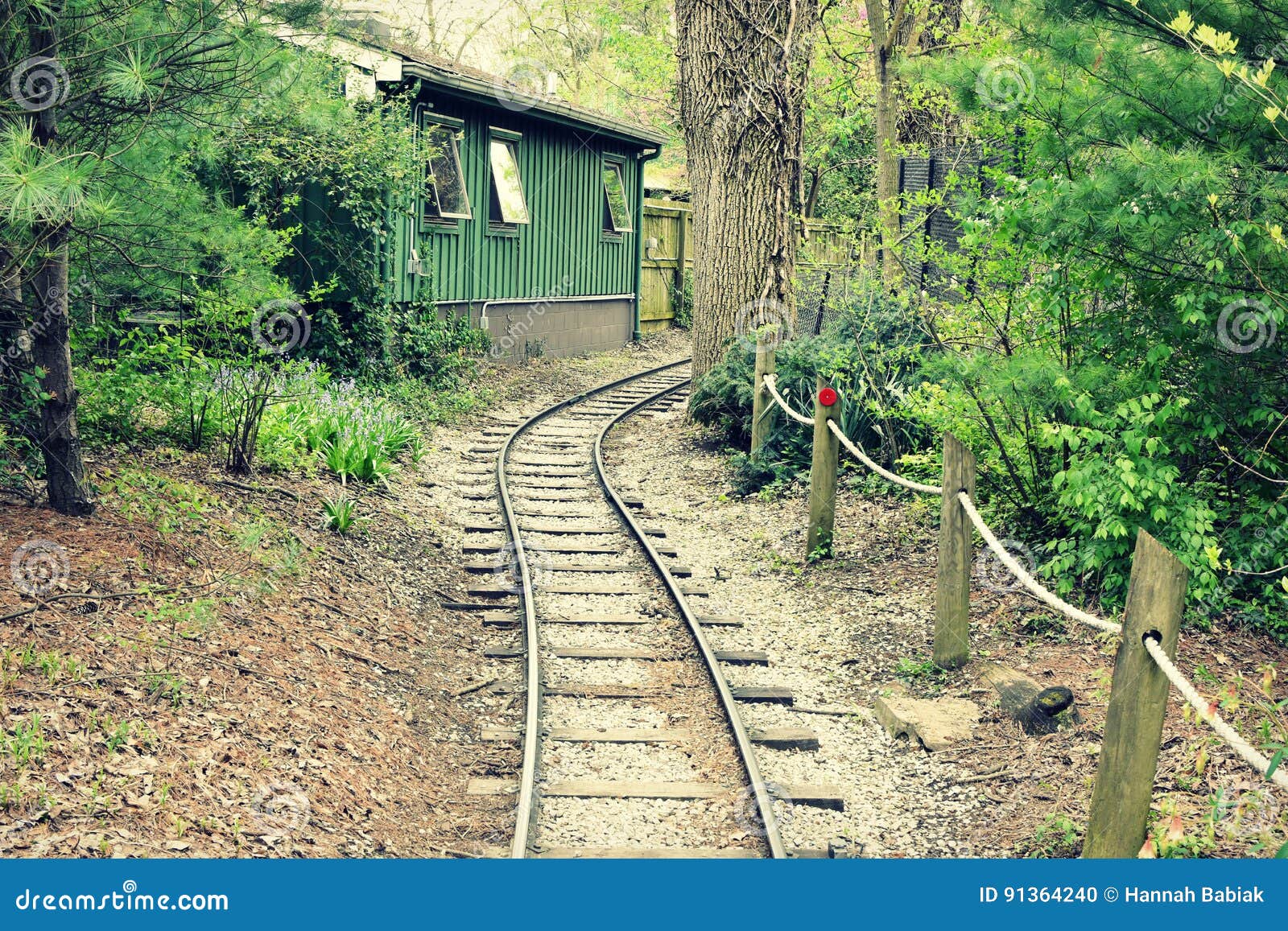 Zoo Train Tracks stock photo. Image of tracks, cincinnati - 91364240