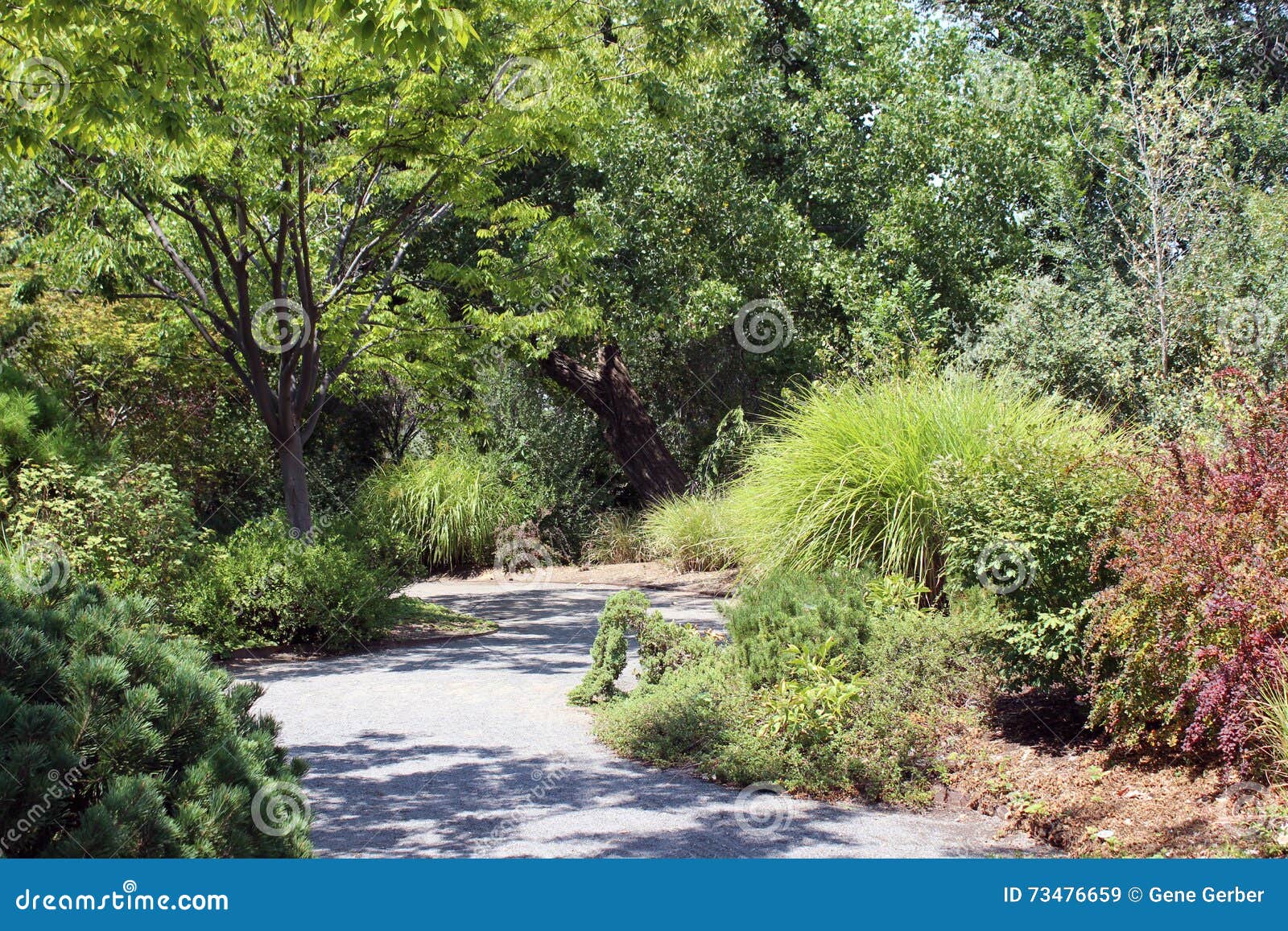 Zoo Walkway stock image. Image of walkway, landscape - 73476659