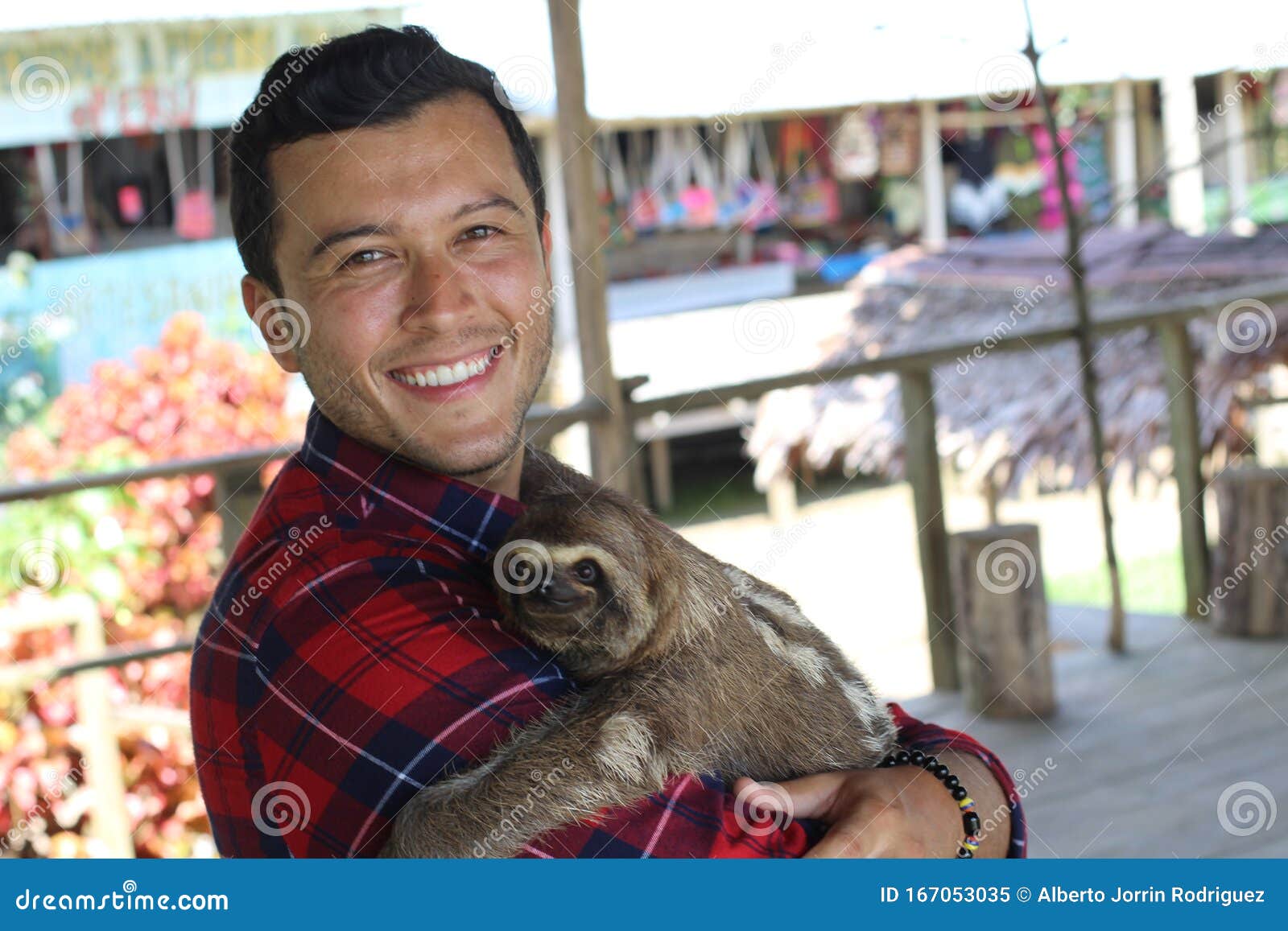 Zookeeper Enjoying Work with Sloth Bear Stock Image - Image of ...