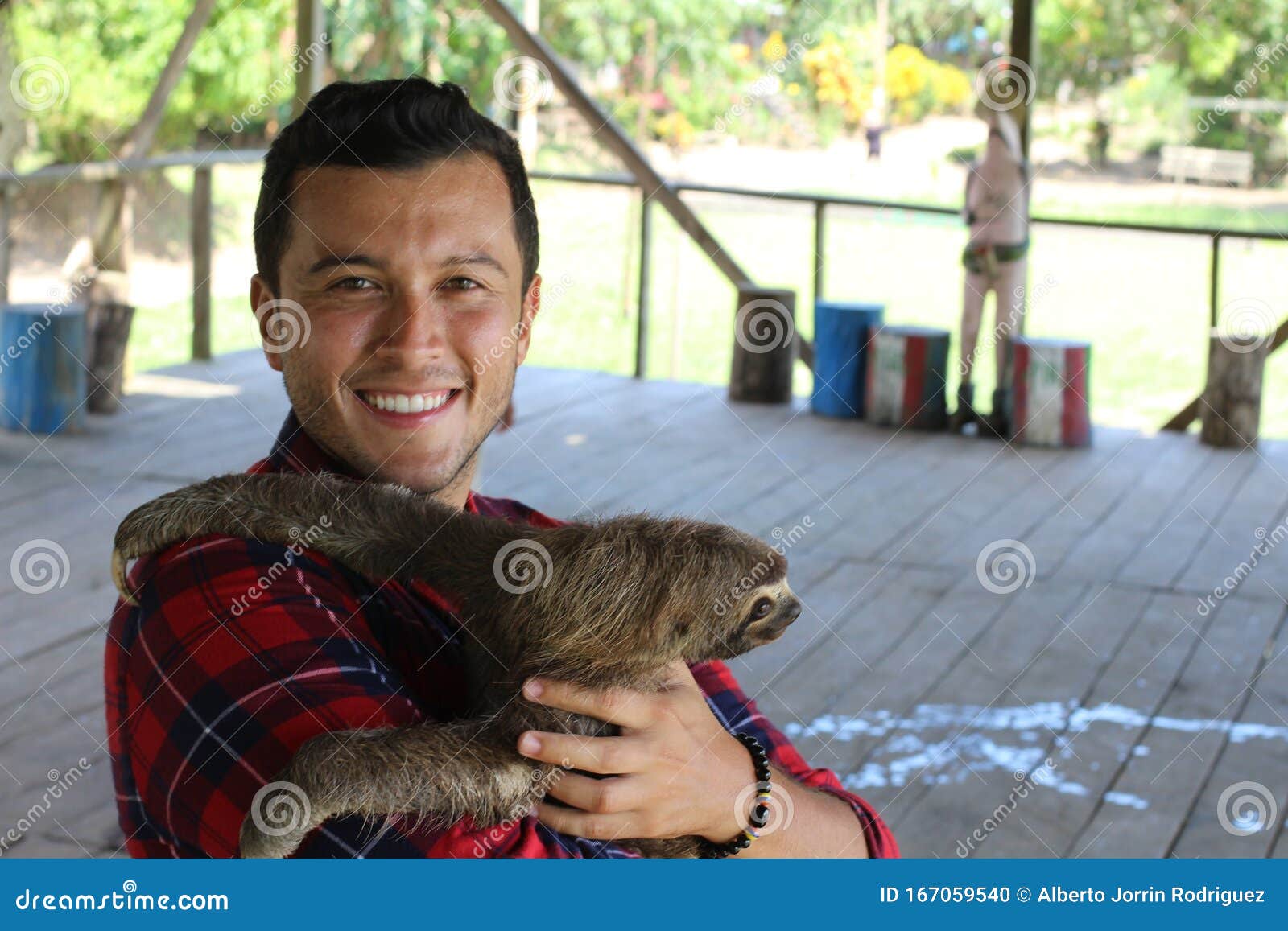 Zookeeper Enjoying Work with Sloth Bear Stock Photo - Image of cute ...