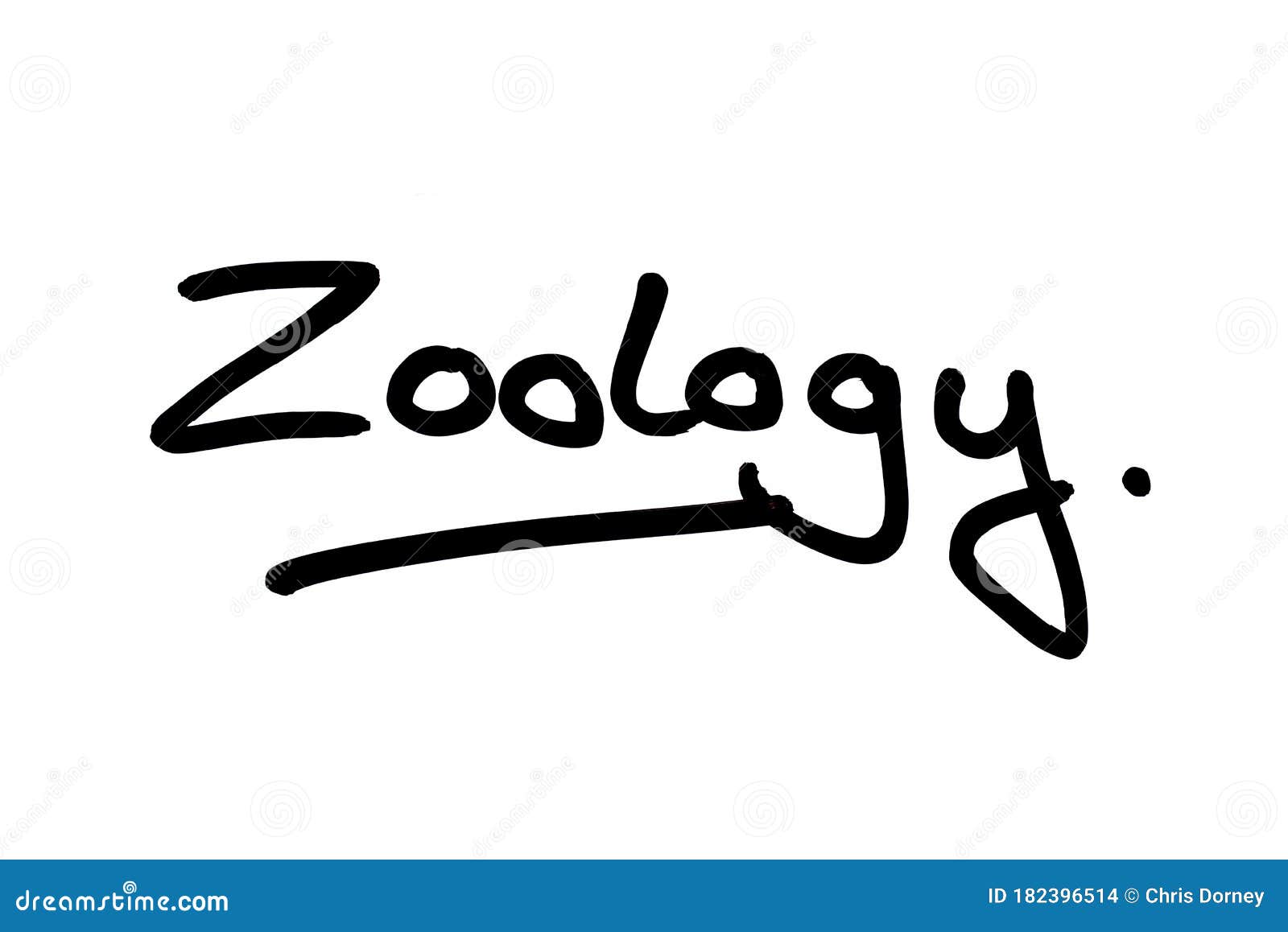 Zoology stock illustration. Illustration of note, biology - 182396514