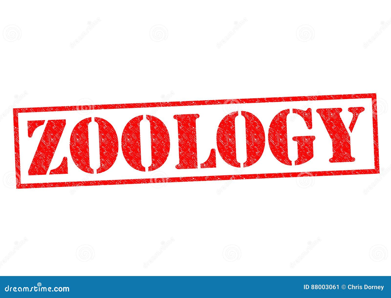 ZOOLOGY stock illustration. Illustration of conservation - 88003061