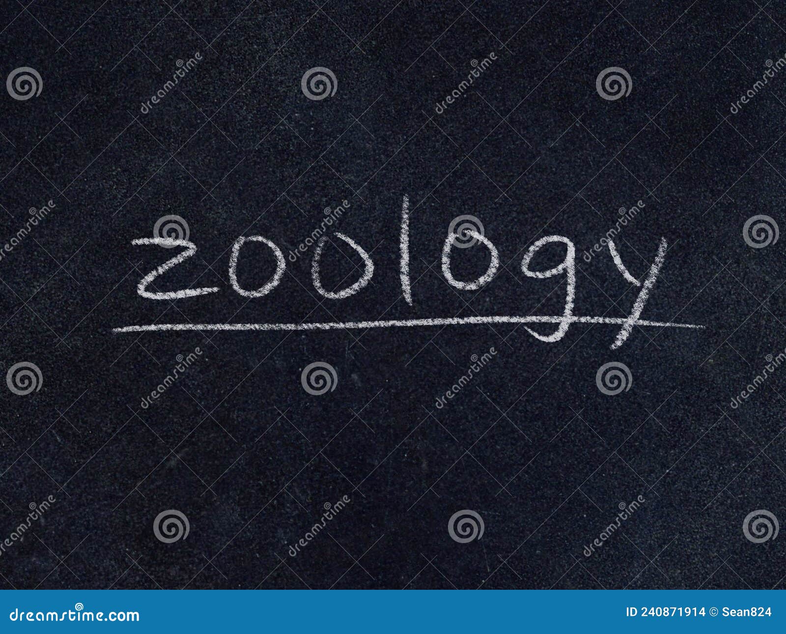 Zoology stock illustration. Illustration of word, zoology - 240871914