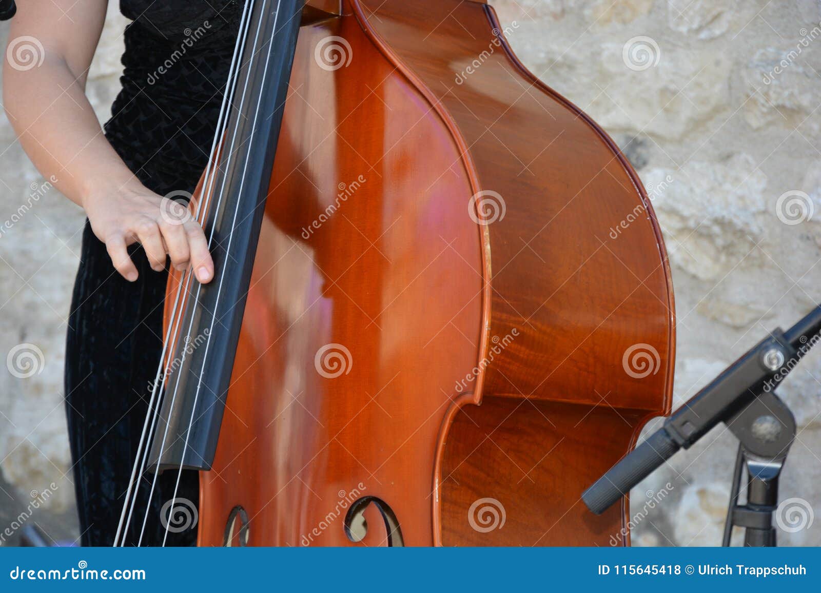 A Stringed Music Instrument, Zoom on a Double Bas Stock Photo - Image ...