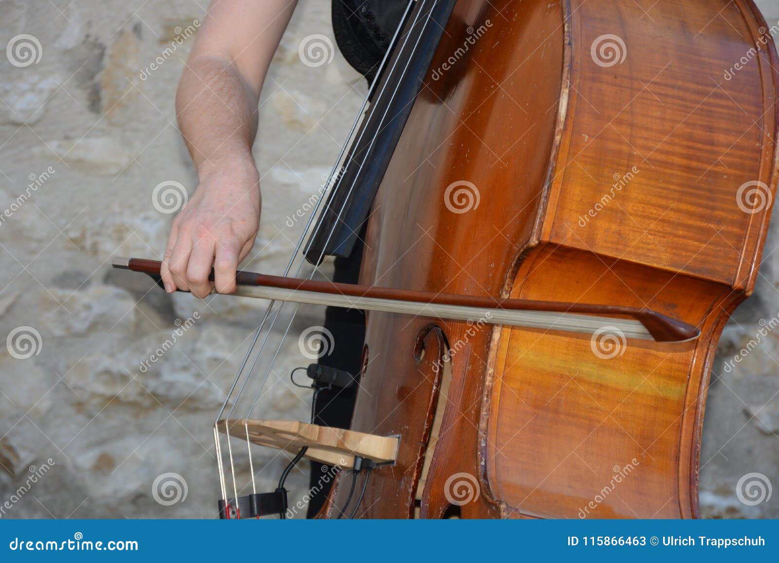A Stringed Music Instrument Zoom on a Double Bas Stock Image - Image of ...