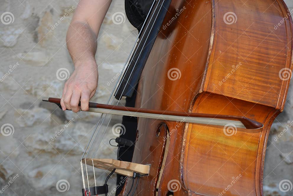 A Stringed Music Instrument Zoom on a Double Bas Stock Image - Image of ...