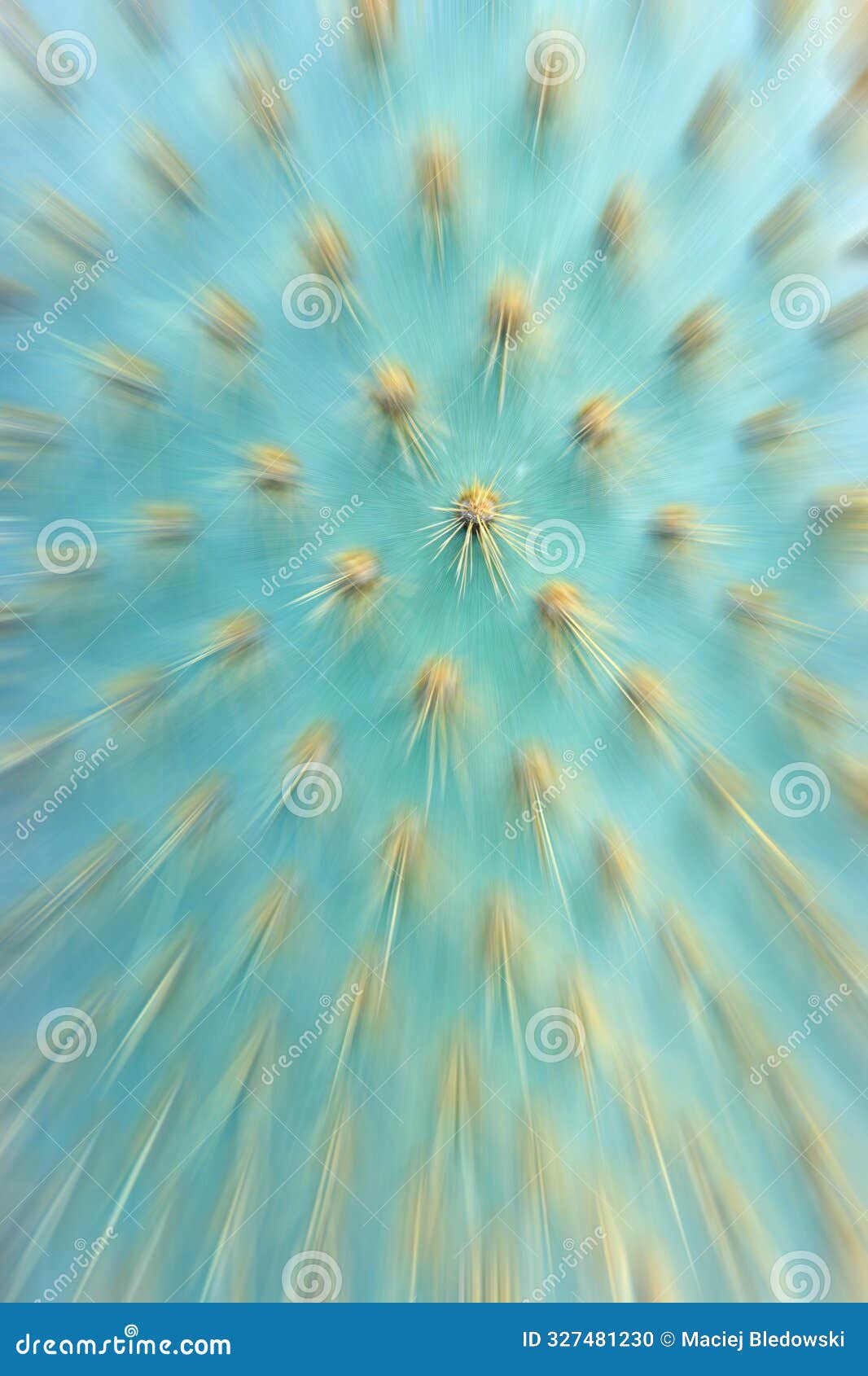 Zoom Effect on Close Up Photo of a Cactus Pad, Abstract Background ...