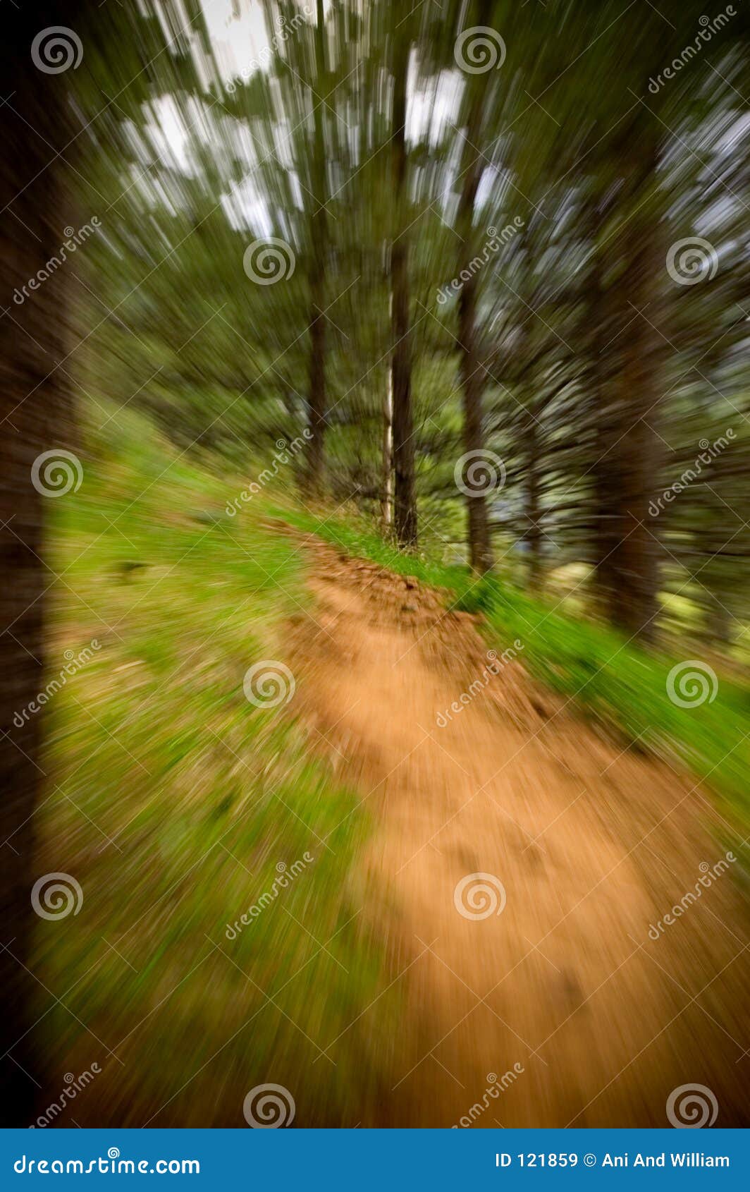 Zoom Into A Forest With High Speed Textured Background Stock ...
