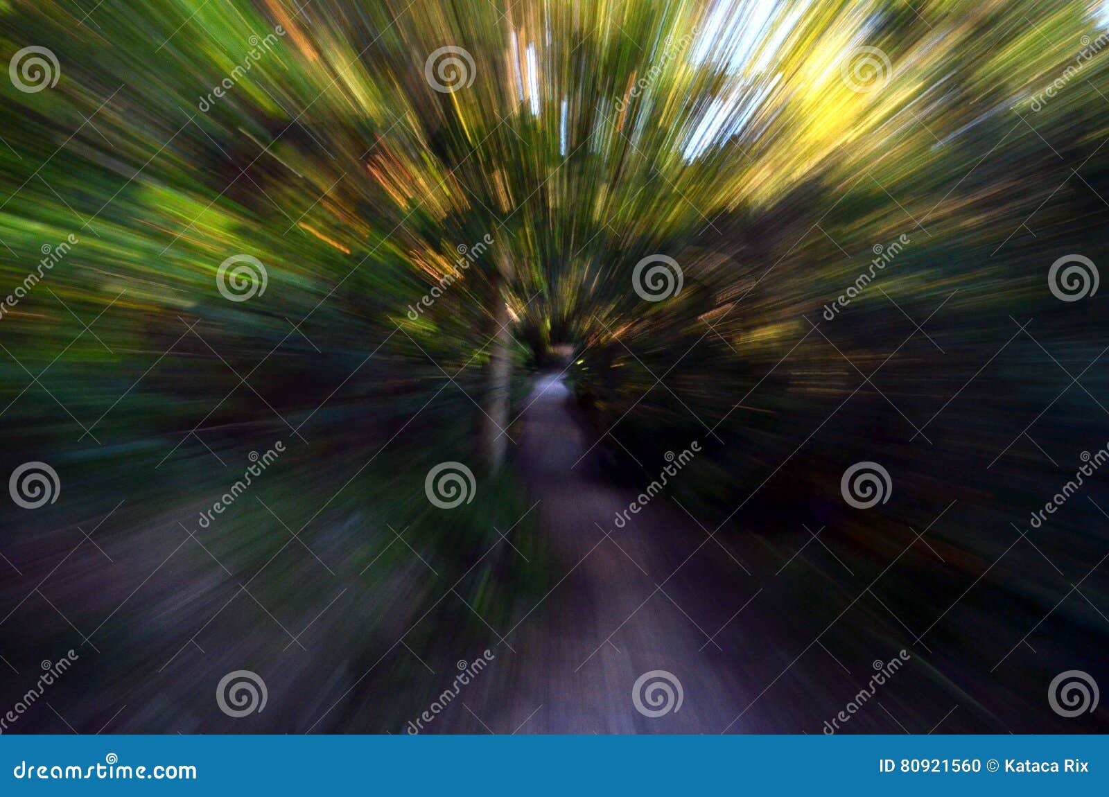 Zoom into a Forest with High Speed Textured Background Stock Photo ...
