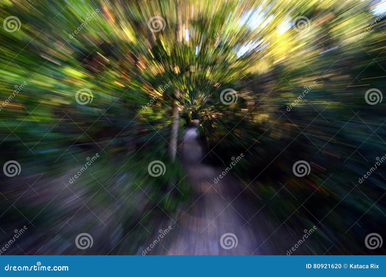 Zoom into a Forest with High Speed Textured Background Stock Photo ...